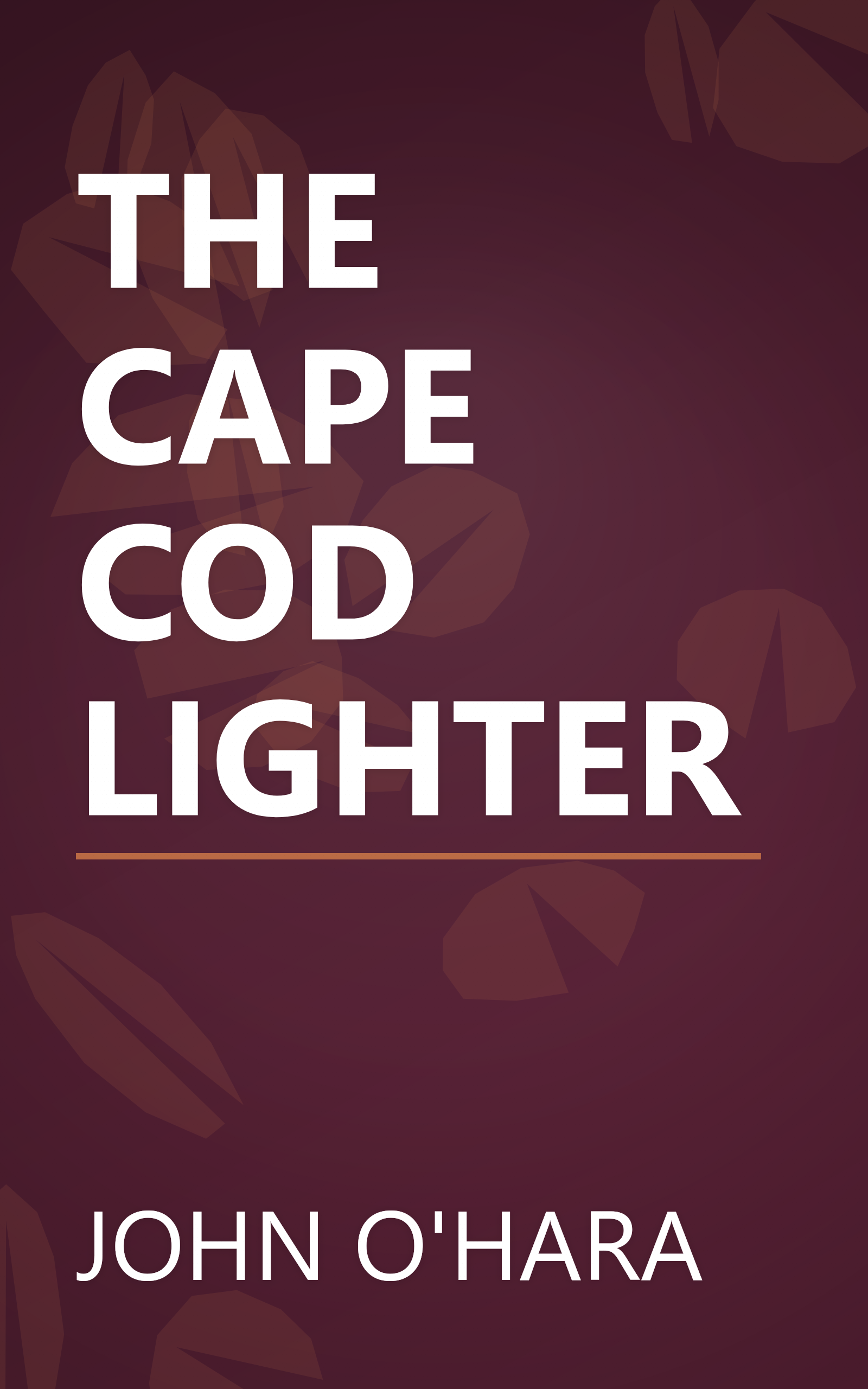 THE CAPE COD LIGHTER book cover