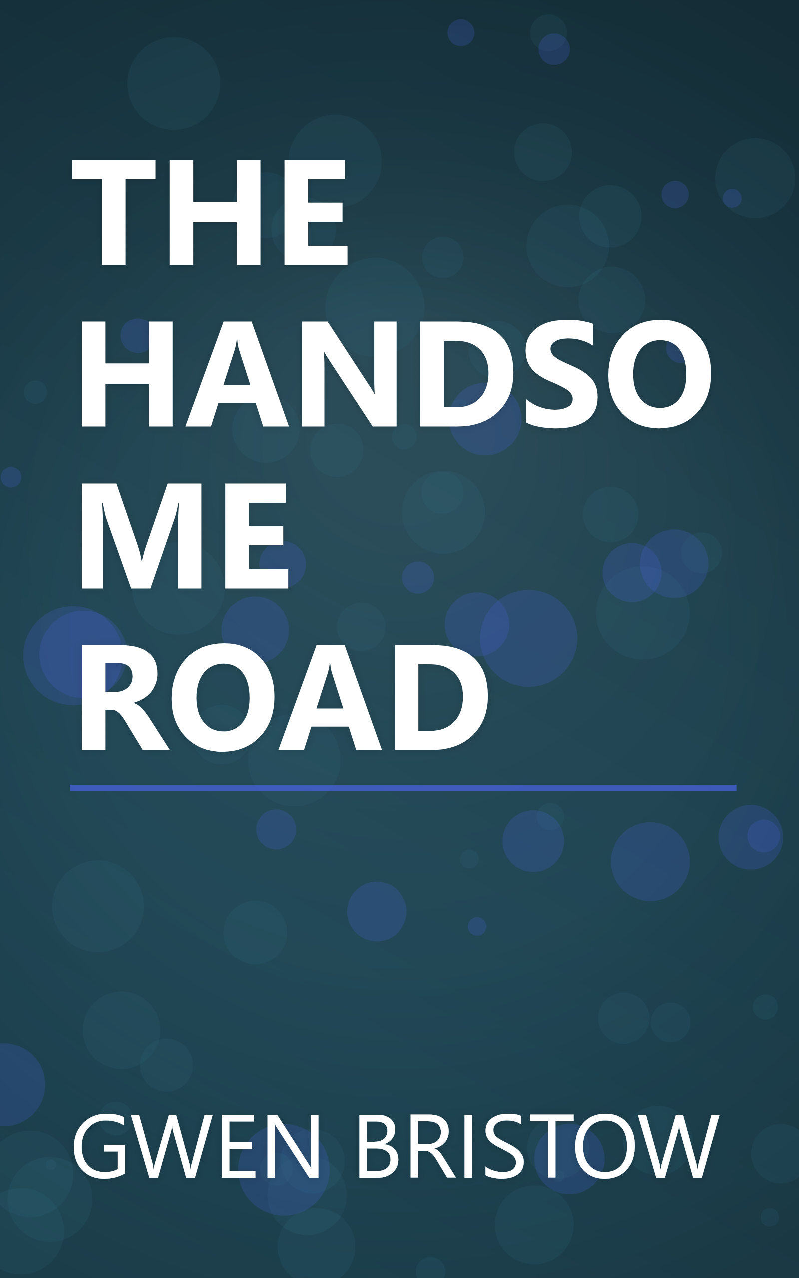 THE HANDSOME ROAD book cover