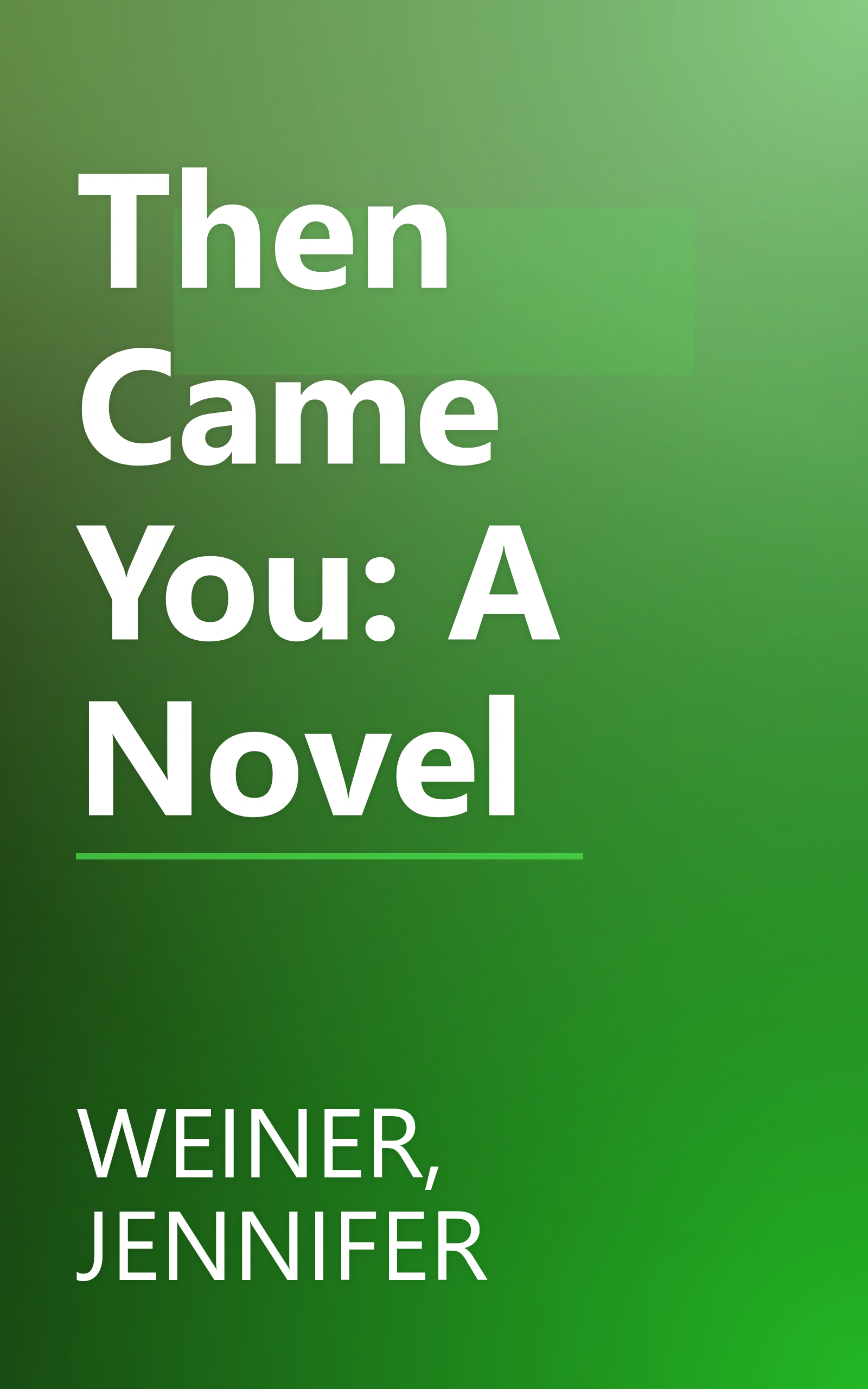 Then Came You: A Novel book cover