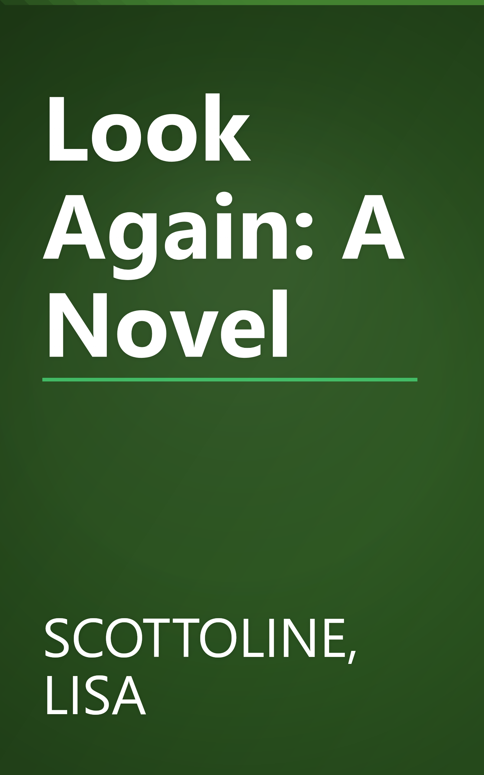 Look Again: A Novel book cover