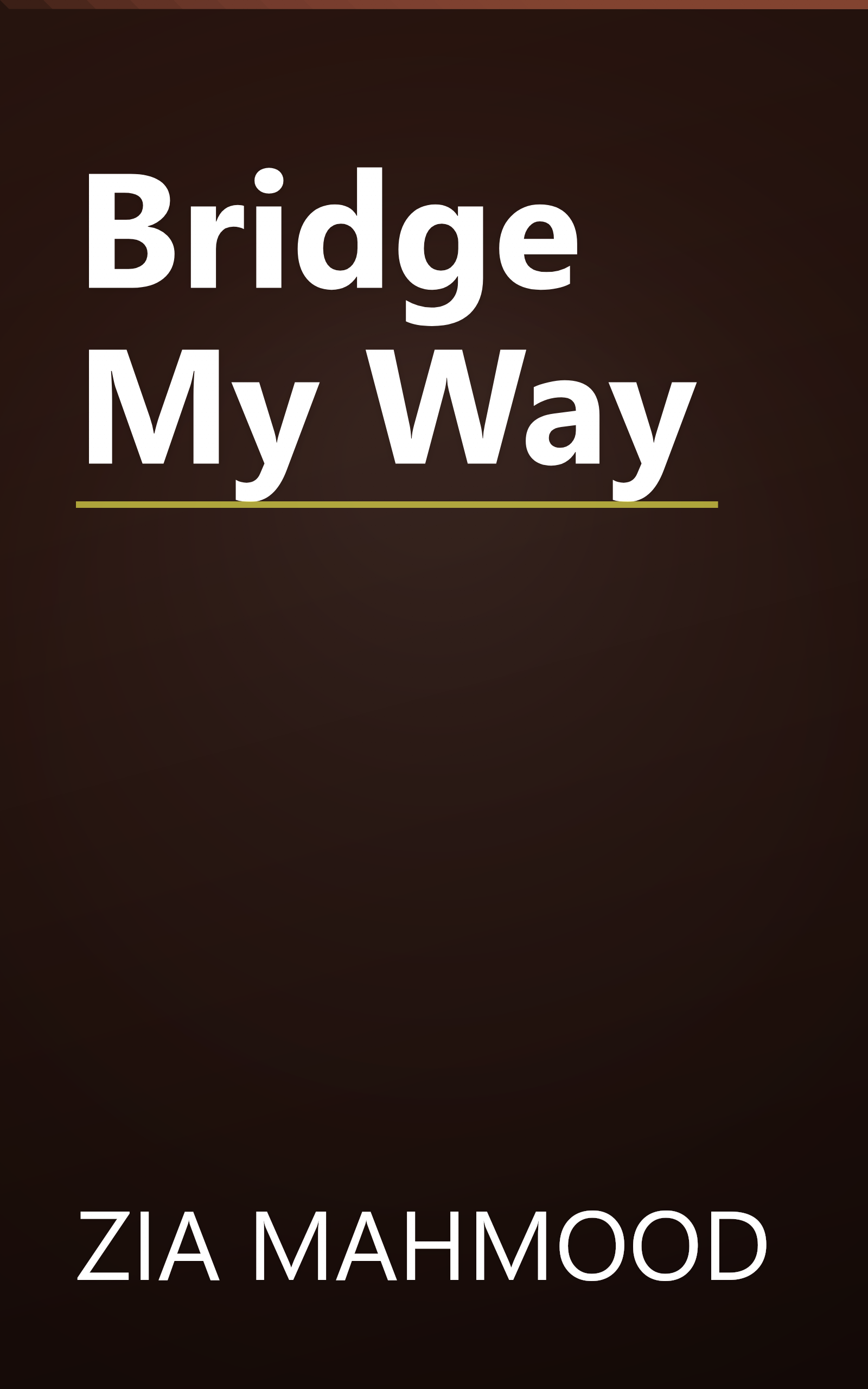 Bridge My Way book cover