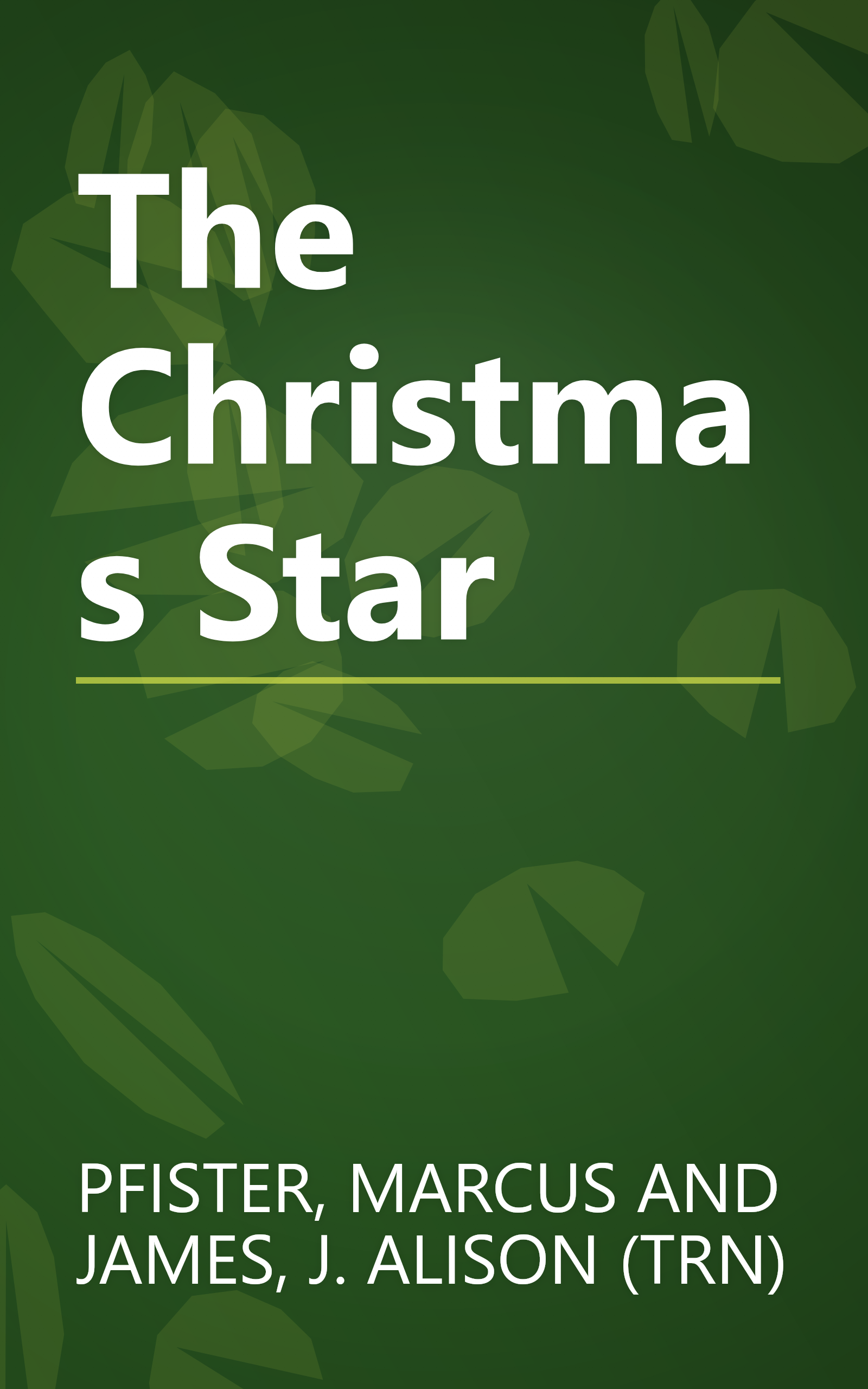 The Christmas Star book cover
