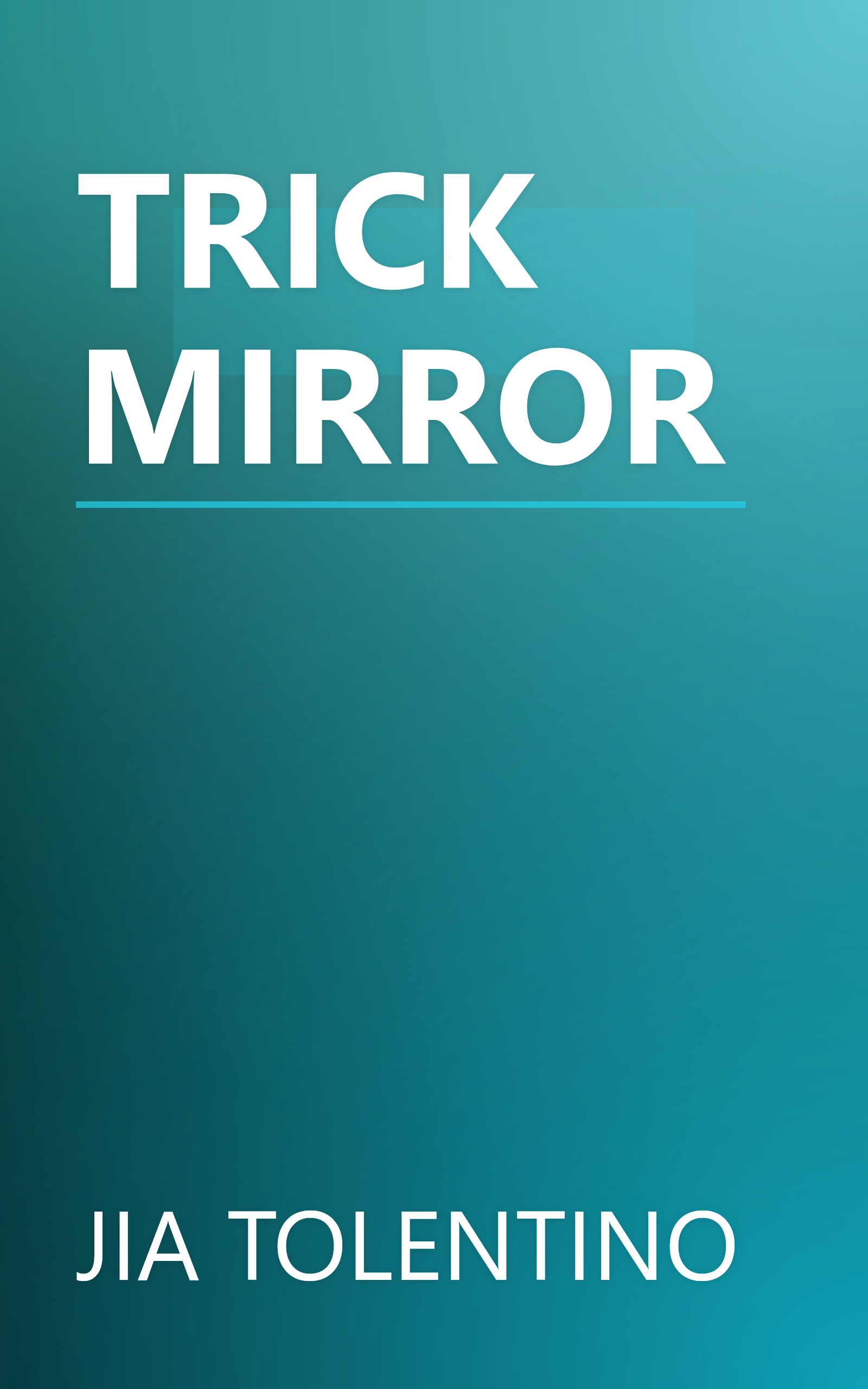 TRICK MIRROR book cover