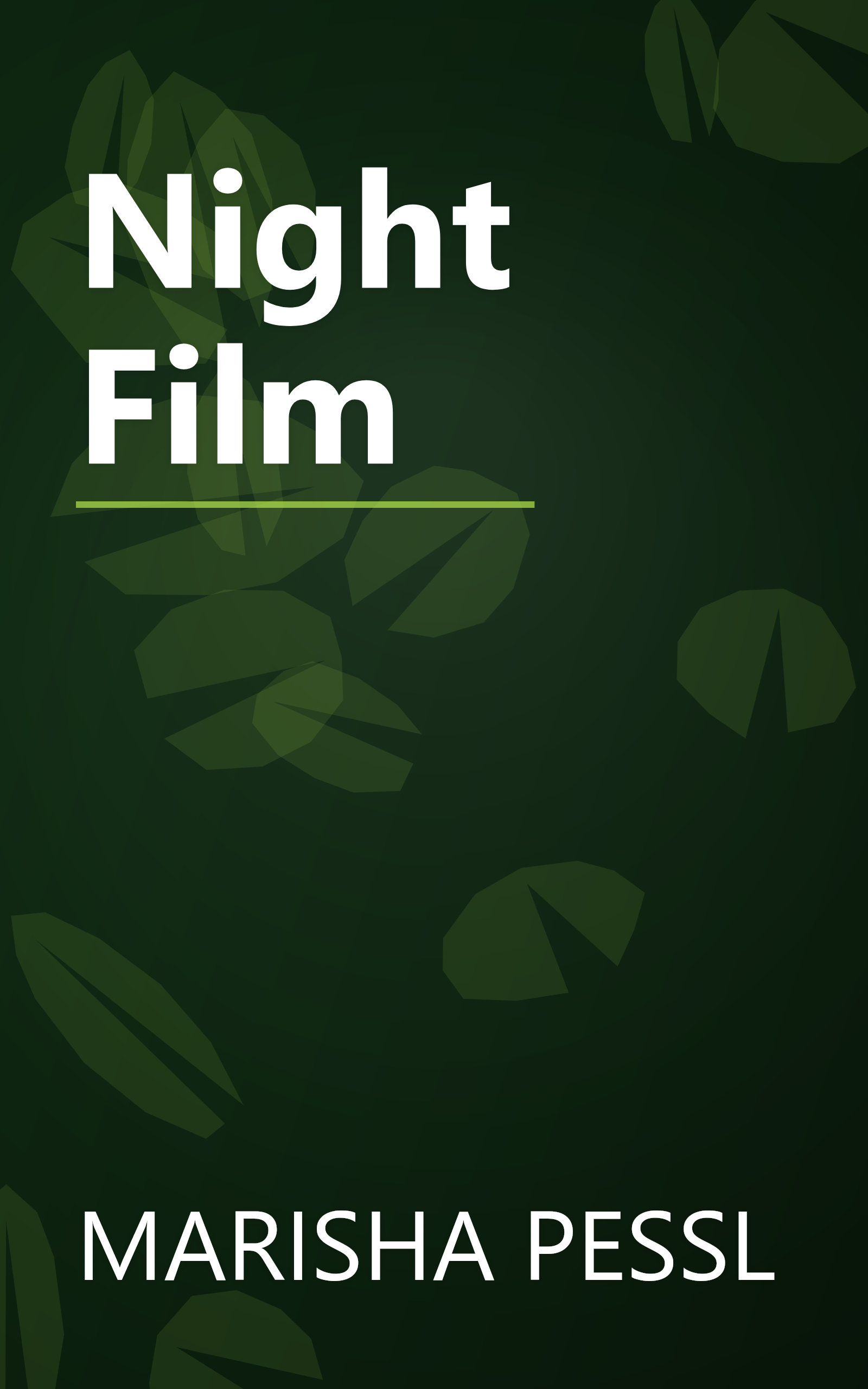 Night Film book cover