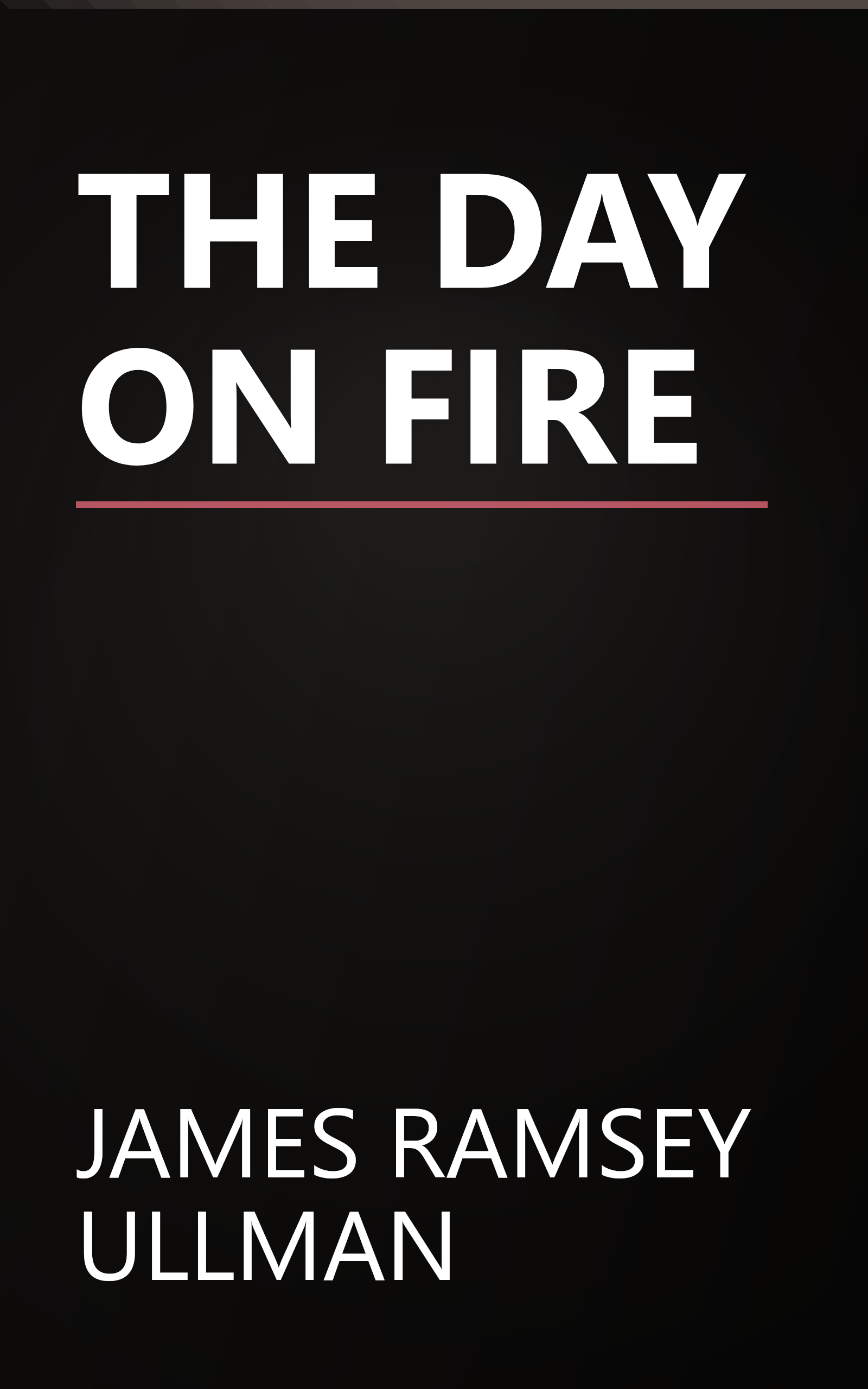 THE DAY ON FIRE book cover