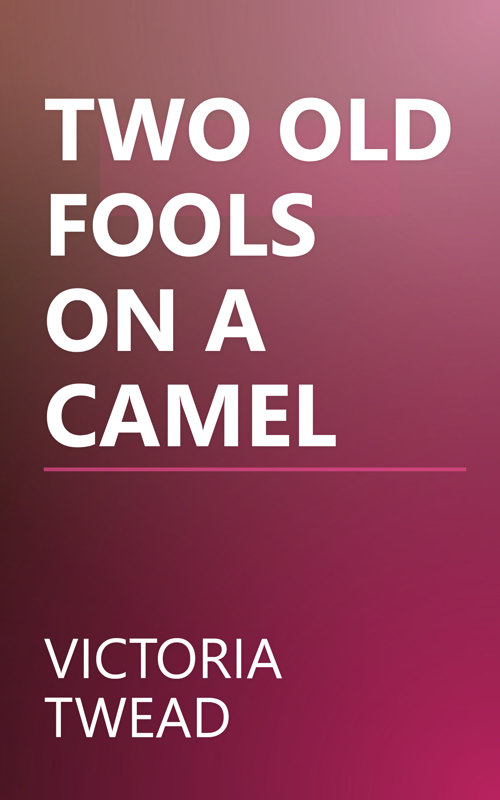 TWO OLD FOOLS ON A CAMEL book cover