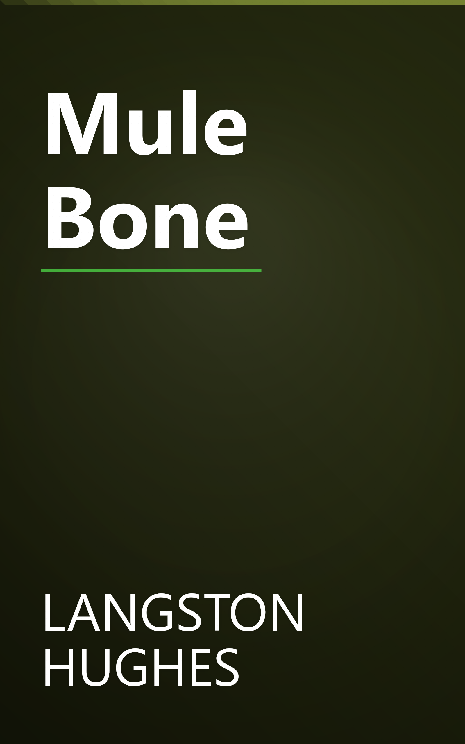Mule Bone book cover