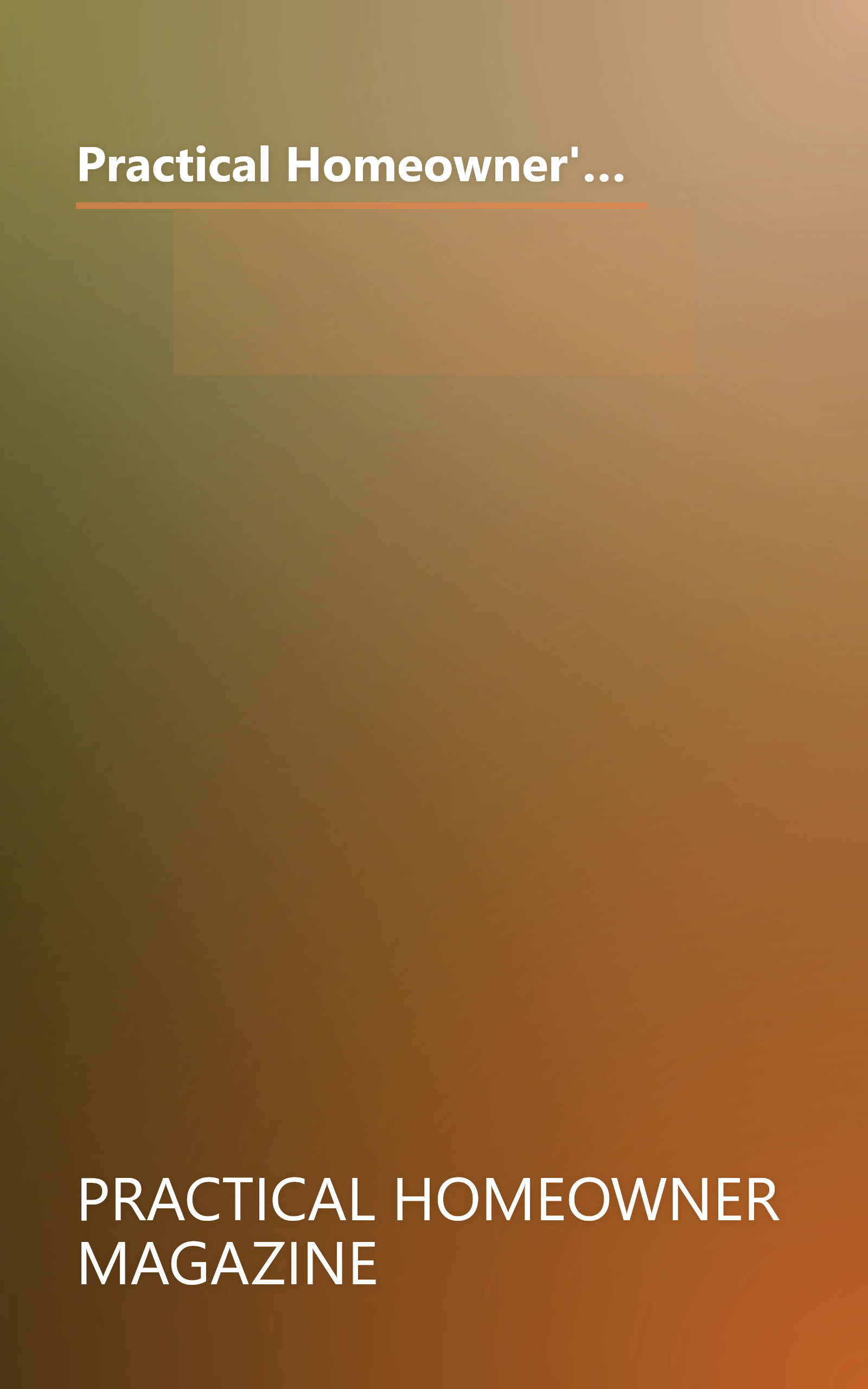 Practical Homeowner's 1987 Do-It-Yourself Annual: Best Remodeling Options for Today's Home (Practical Homeowner's Do-It-Yourself Annual) book cover