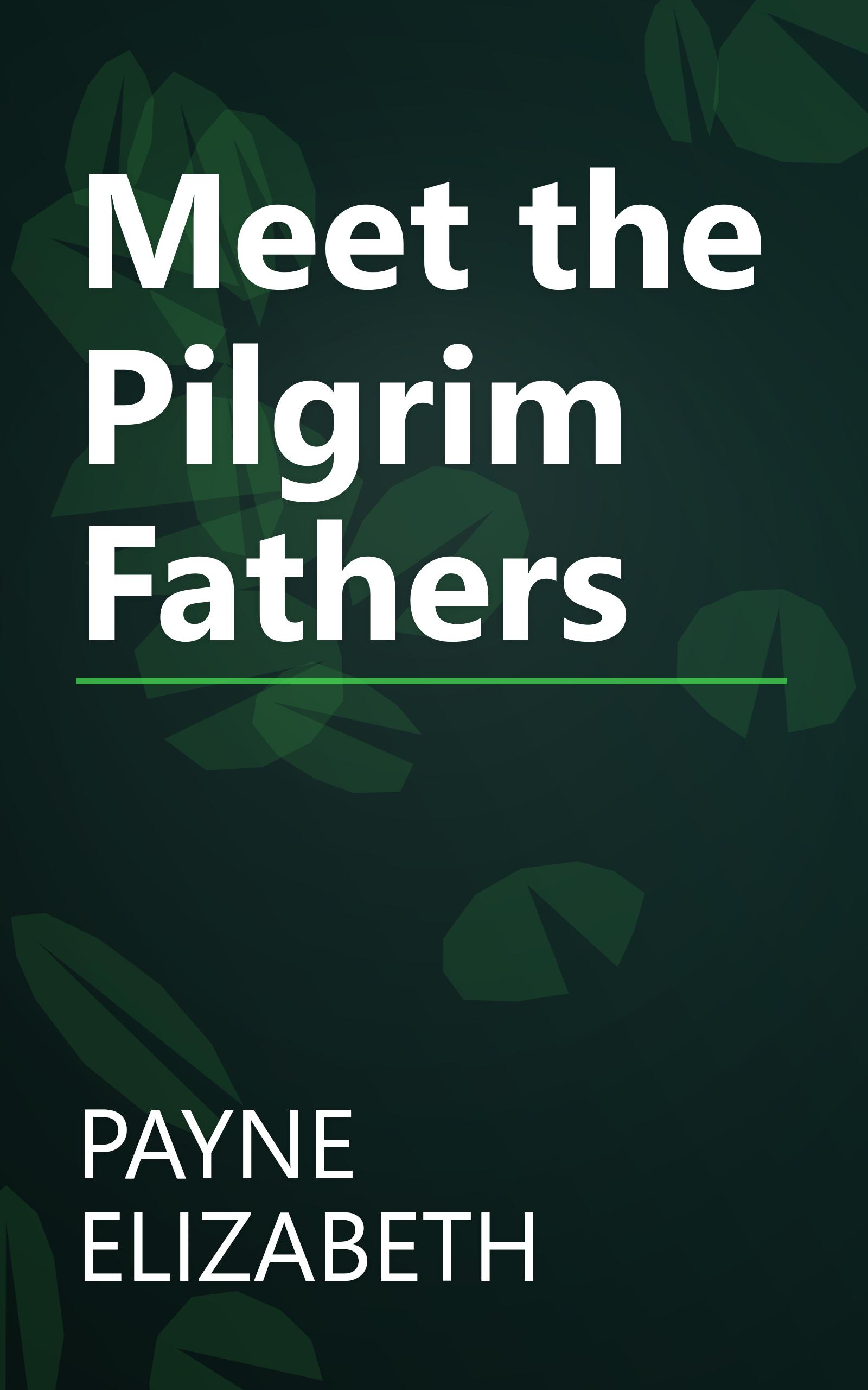 Meet the Pilgrim Fathers book cover
