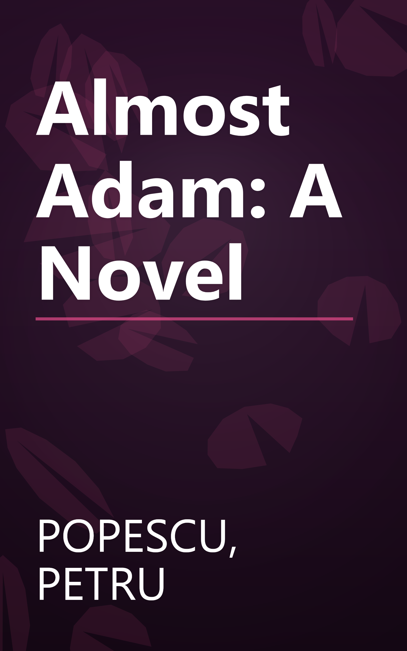 Almost Adam: A Novel book cover
