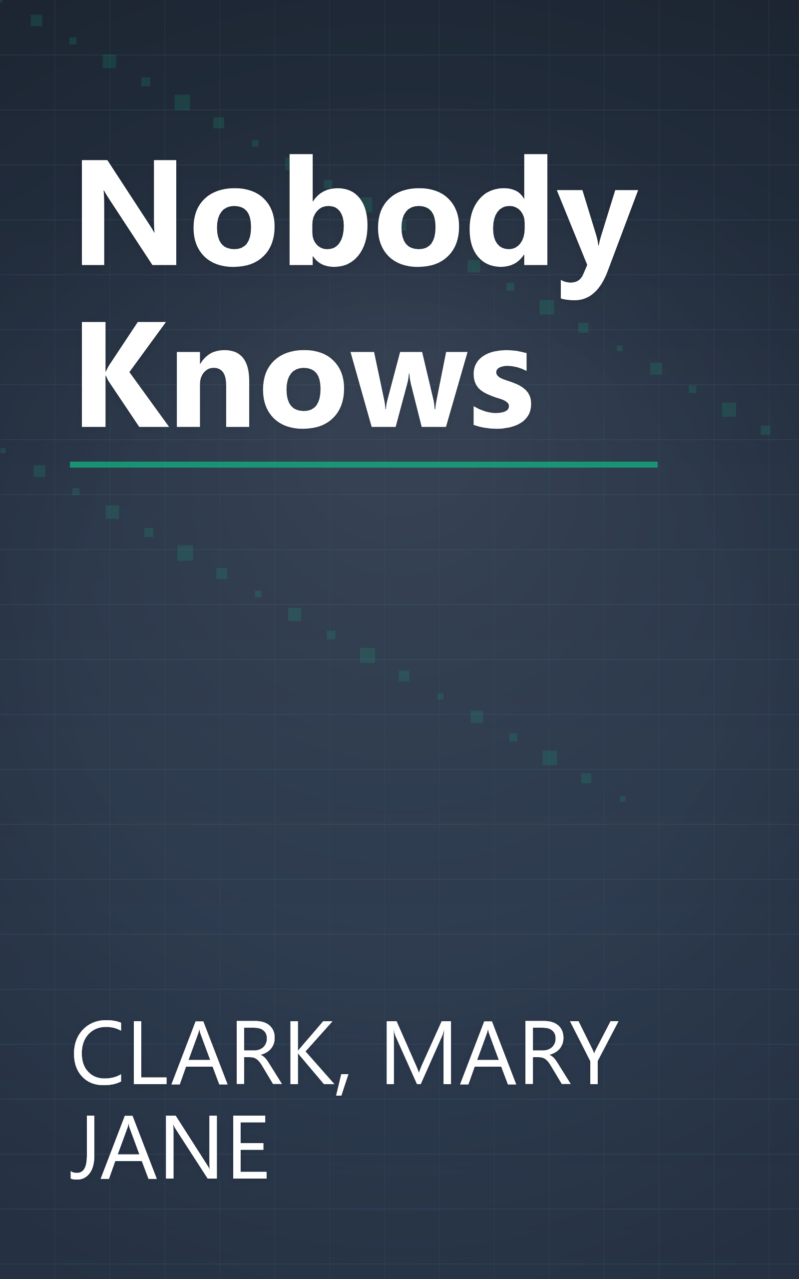 Nobody Knows book cover