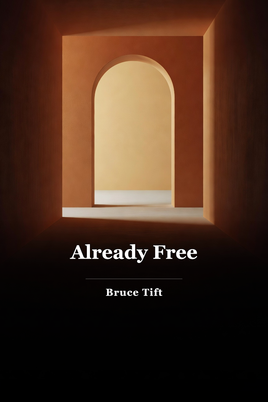Already Free book cover