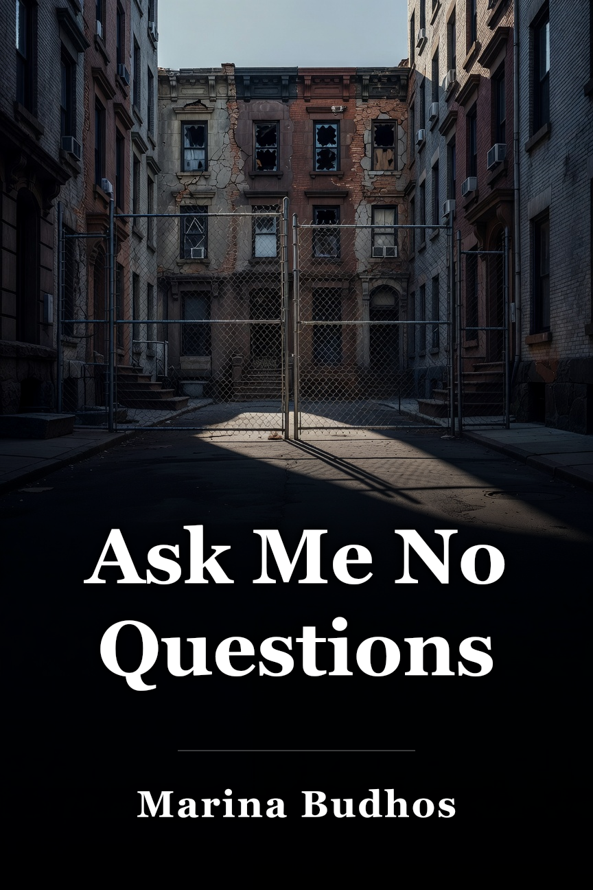 Ask Me No Questions book cover