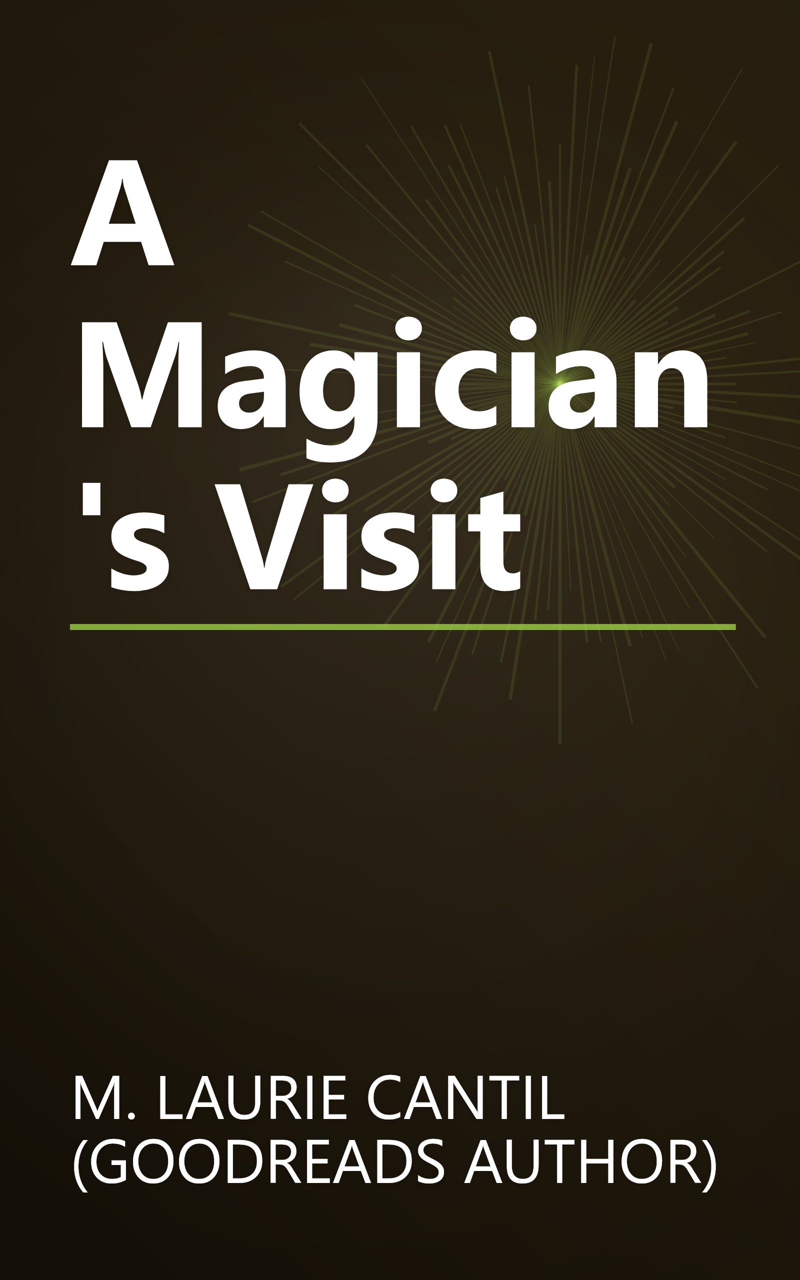 A Magician's Visit book cover