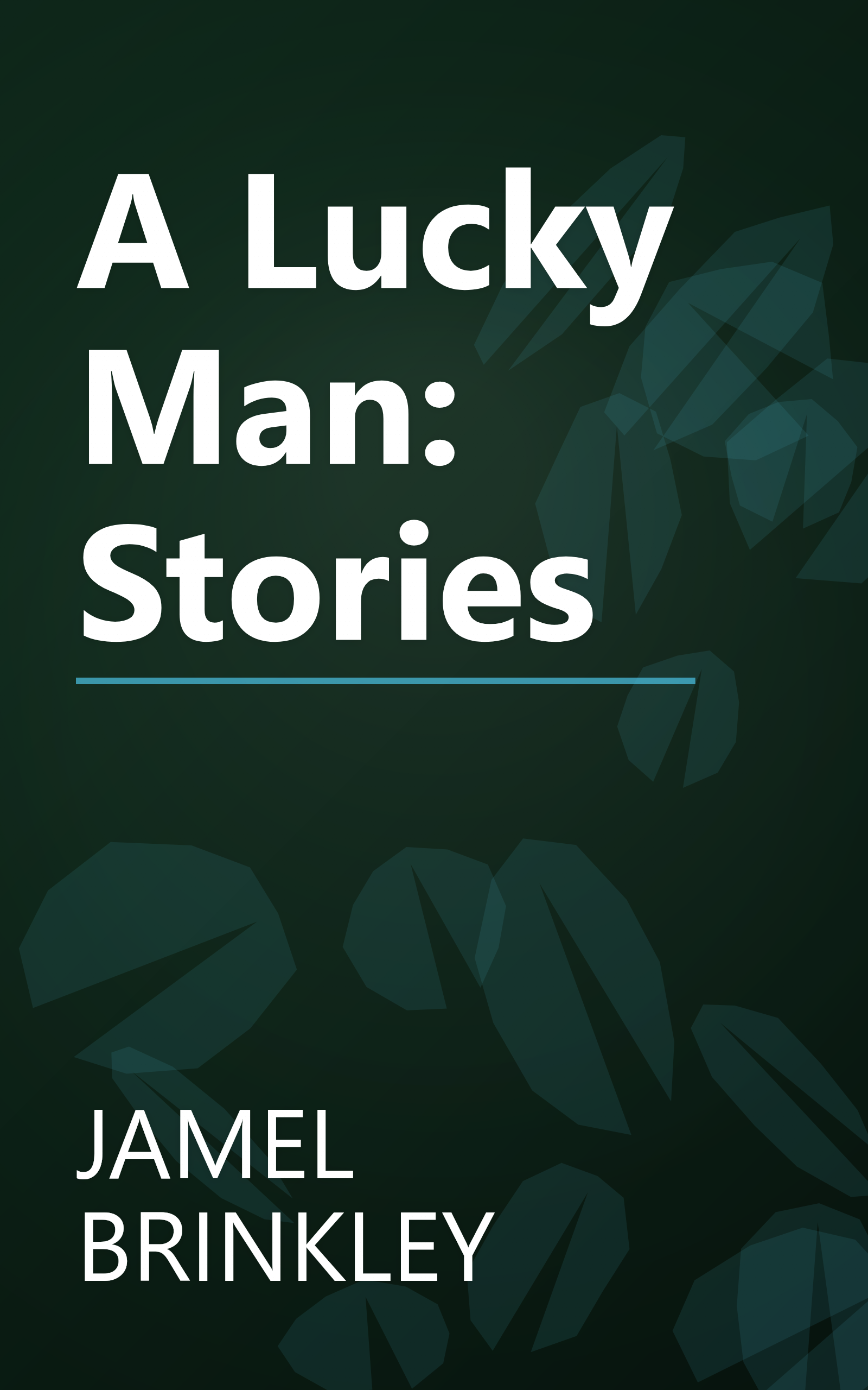 A Lucky Man: Stories book cover