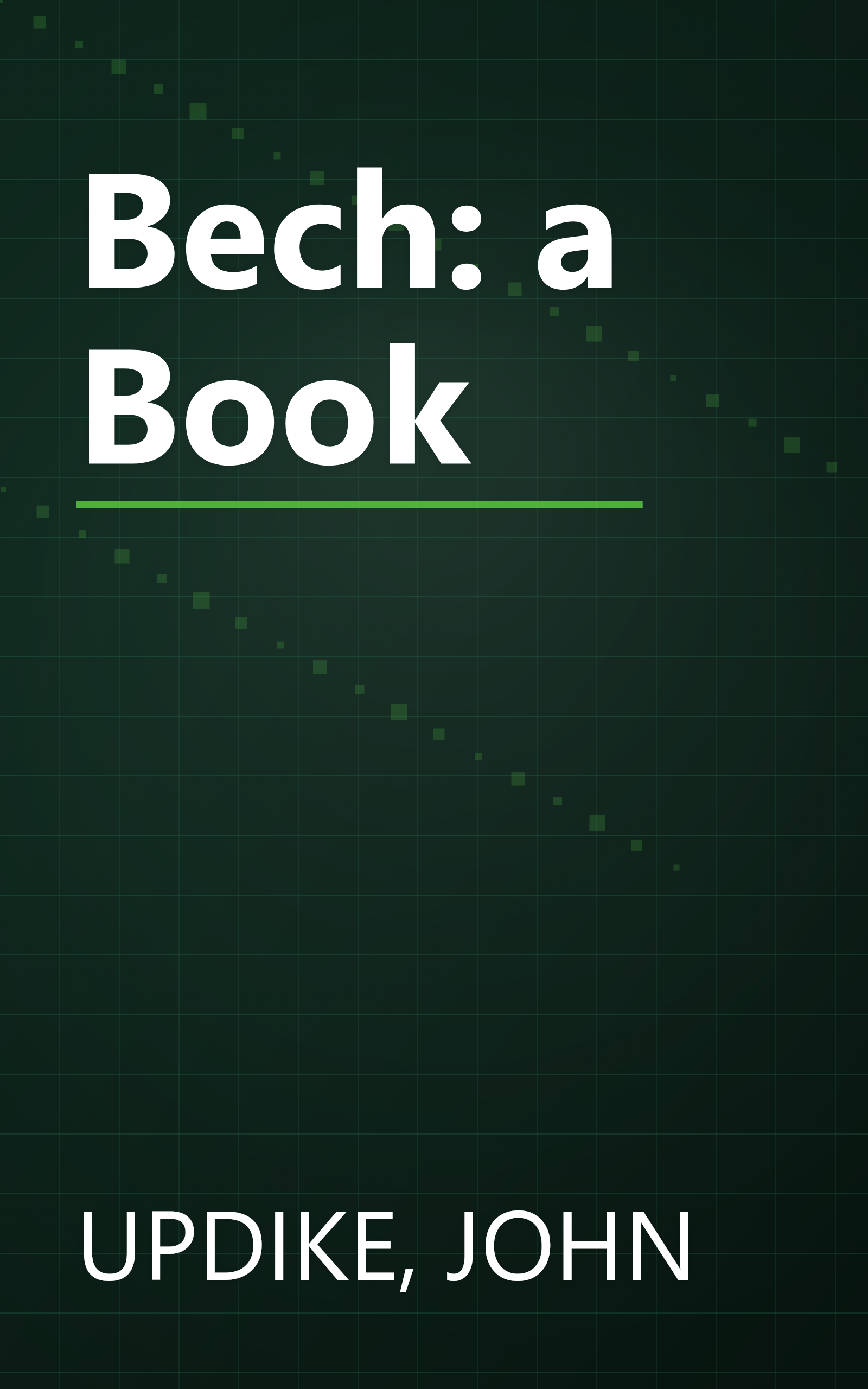 Bech: a Book book cover
