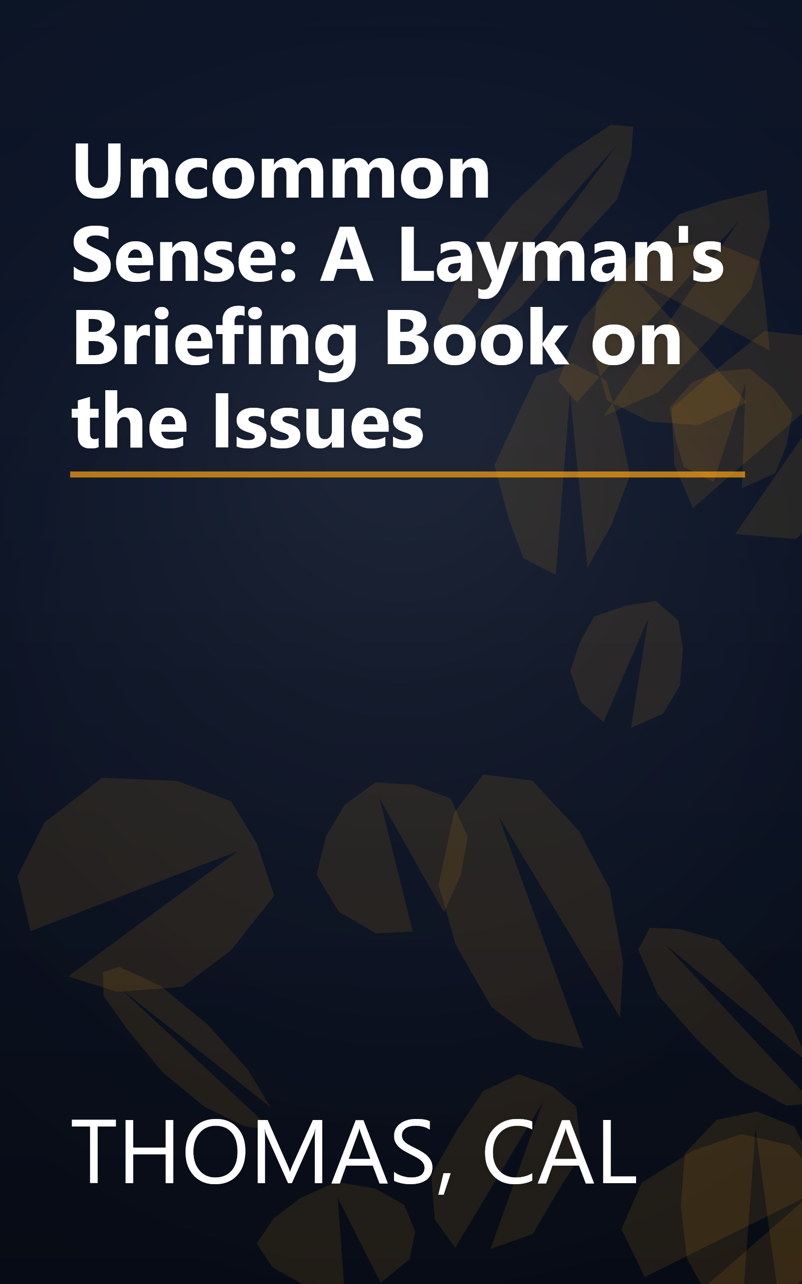 Uncommon Sense: A Layman's Briefing Book on the Issues book cover
