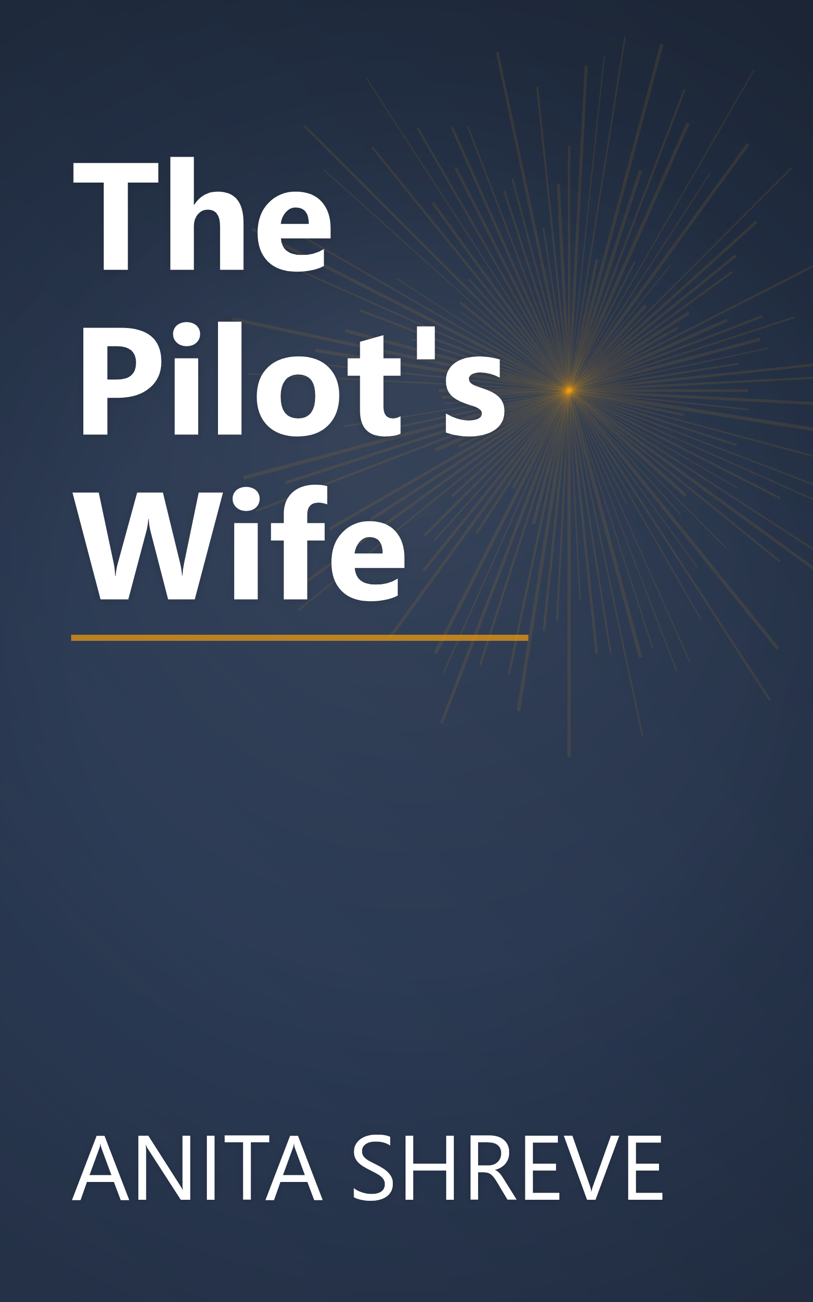 The Pilot's Wife book cover