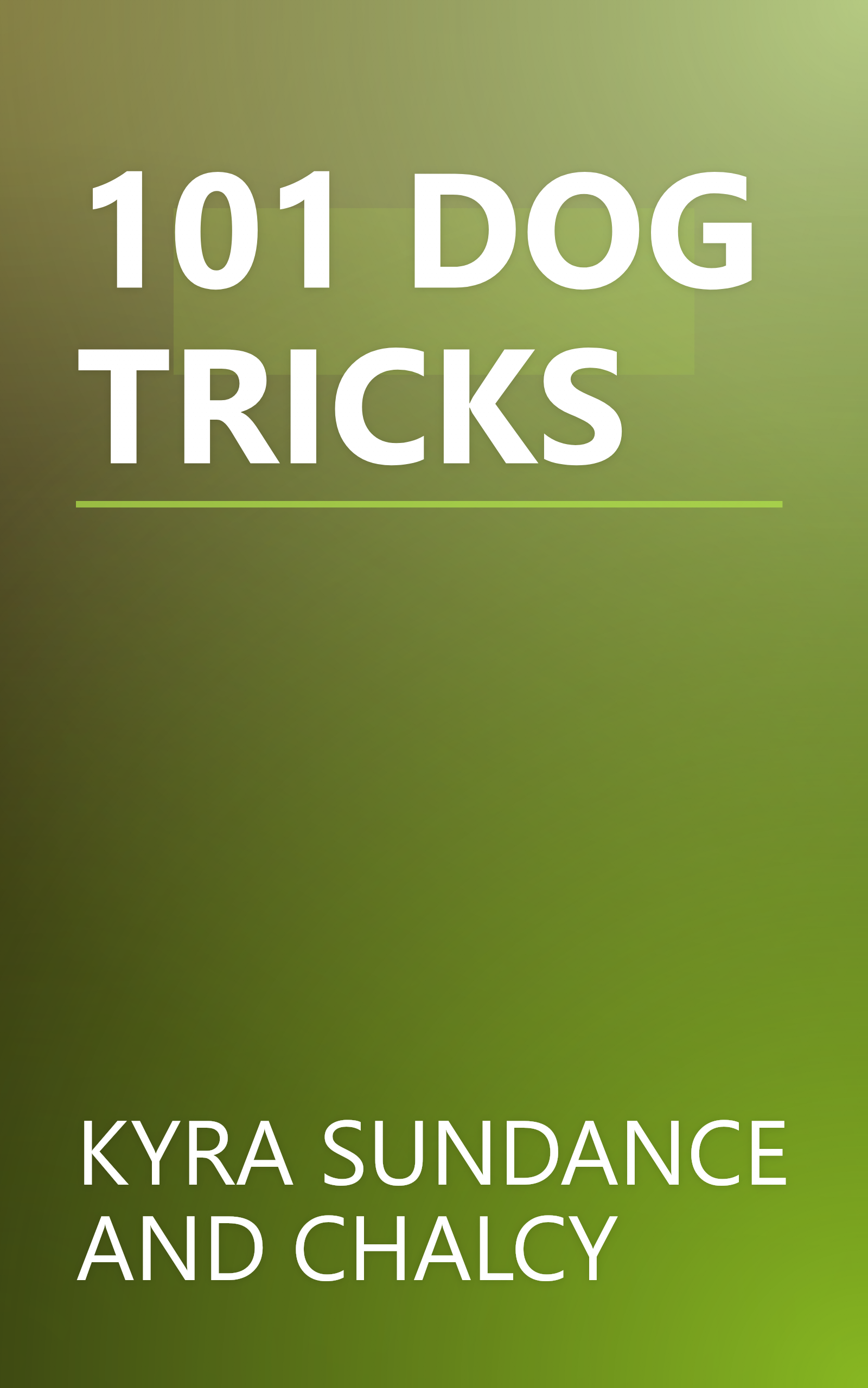 101 DOG TRICKS book cover
