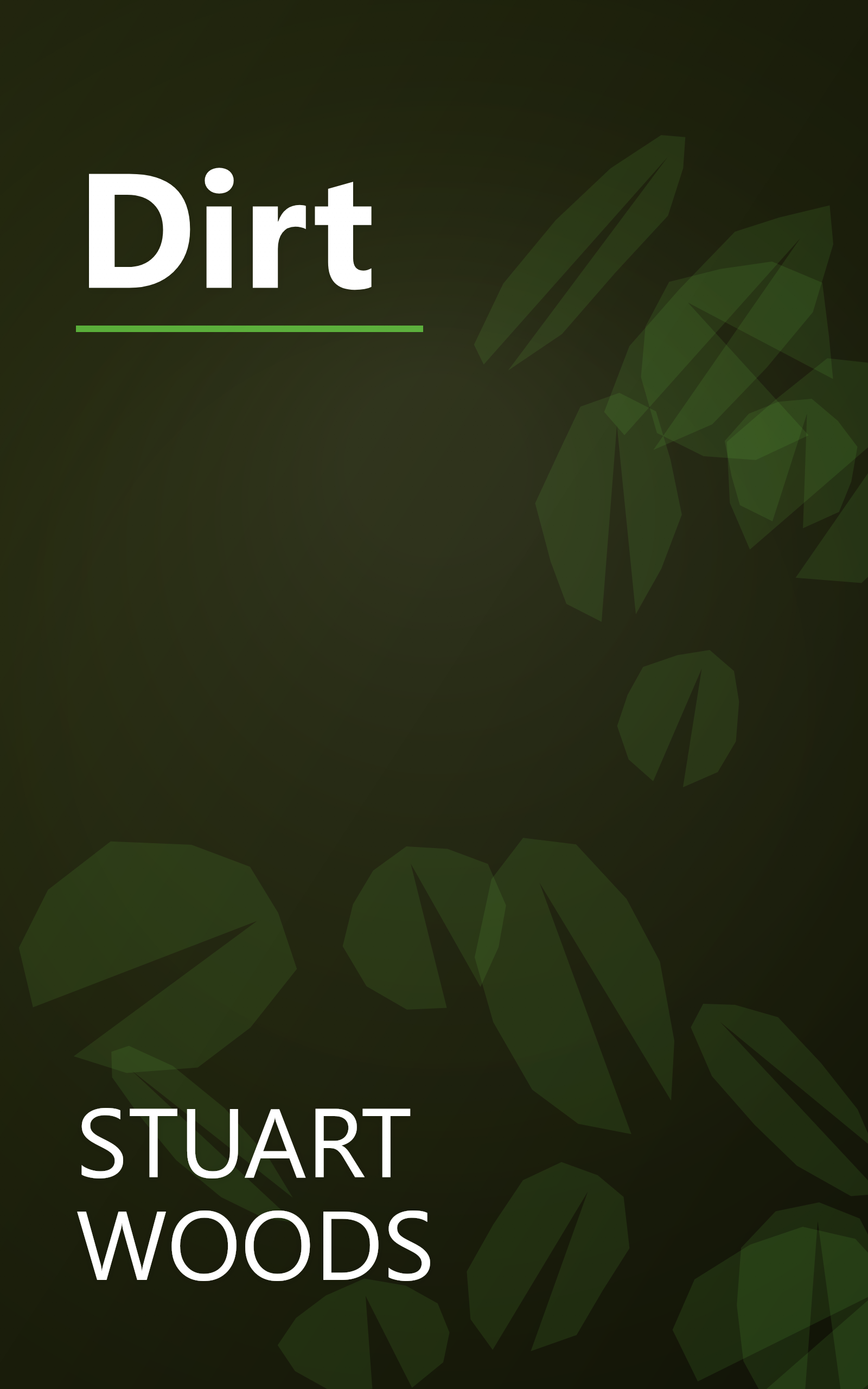 Dirt book cover