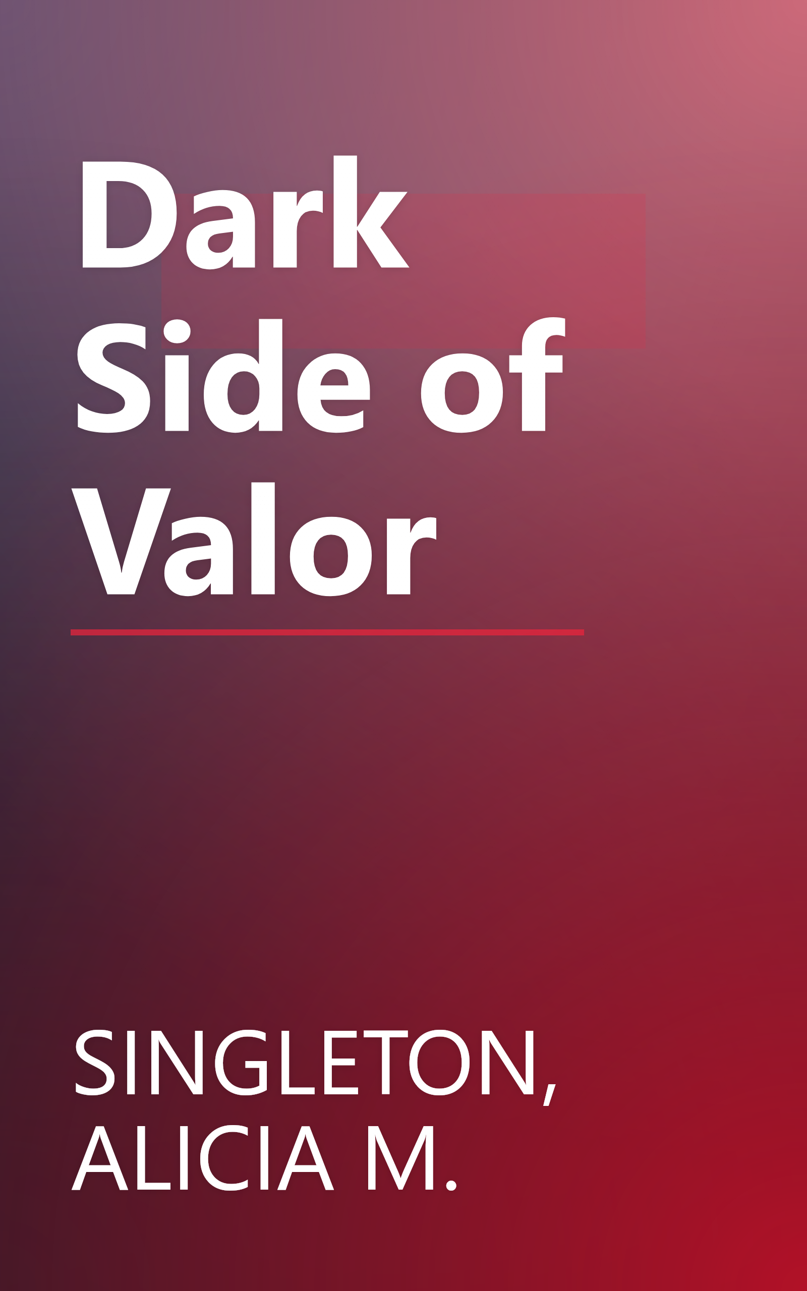 Dark Side of Valor book cover