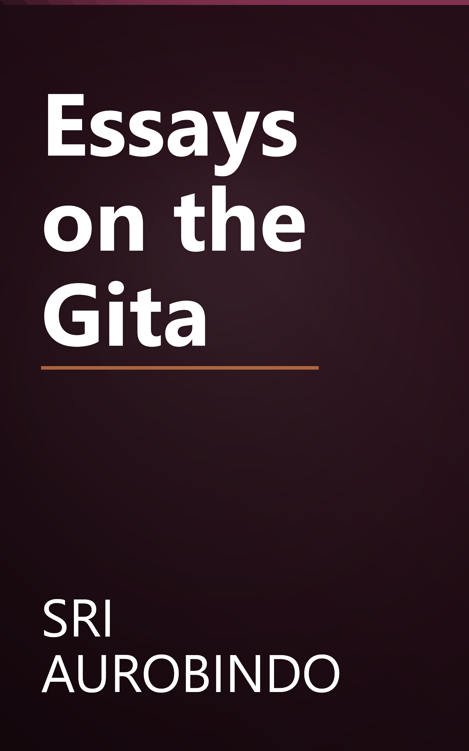 Essays on the Gita book cover