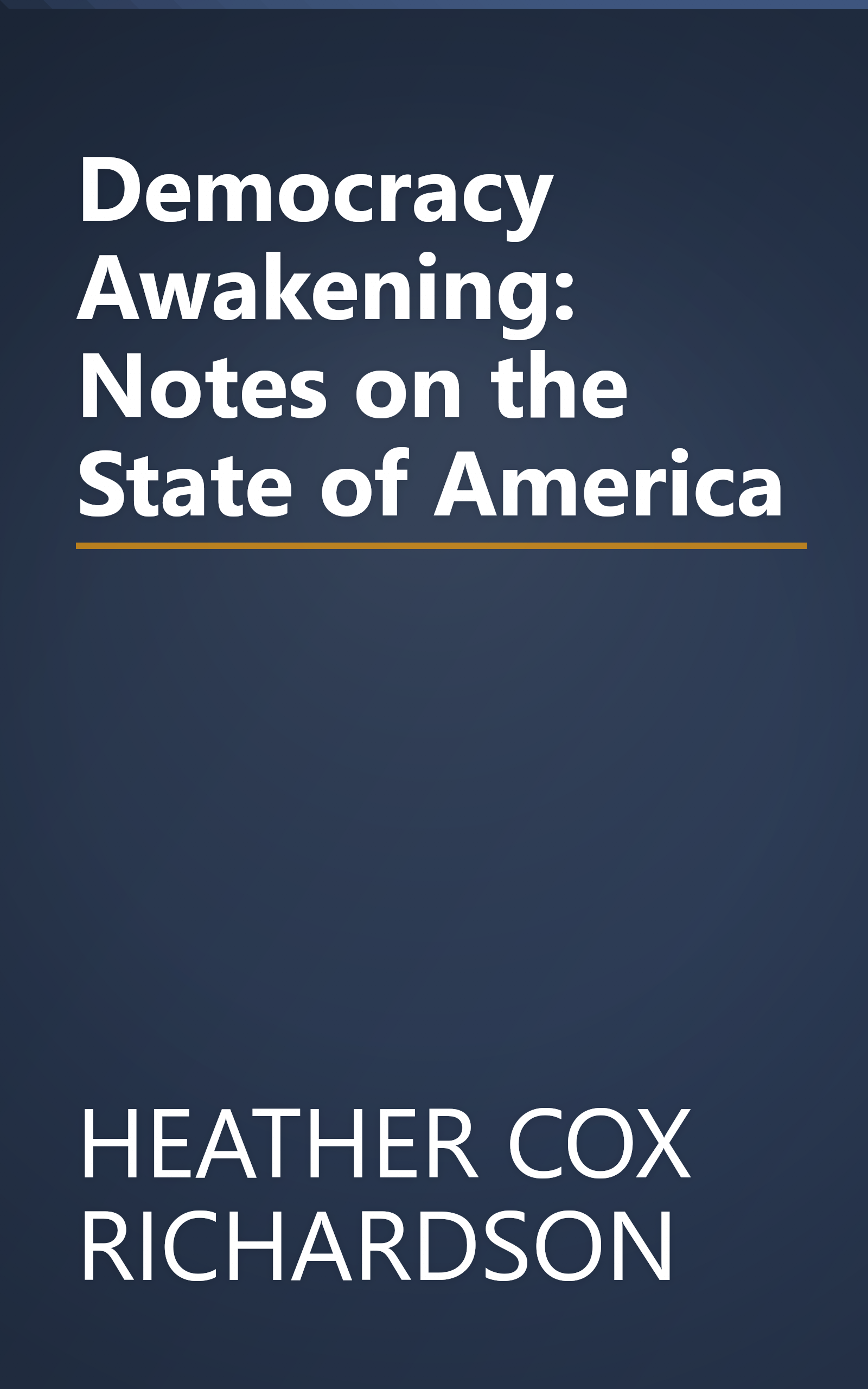 Democracy Awakening: Notes on the State of America book cover