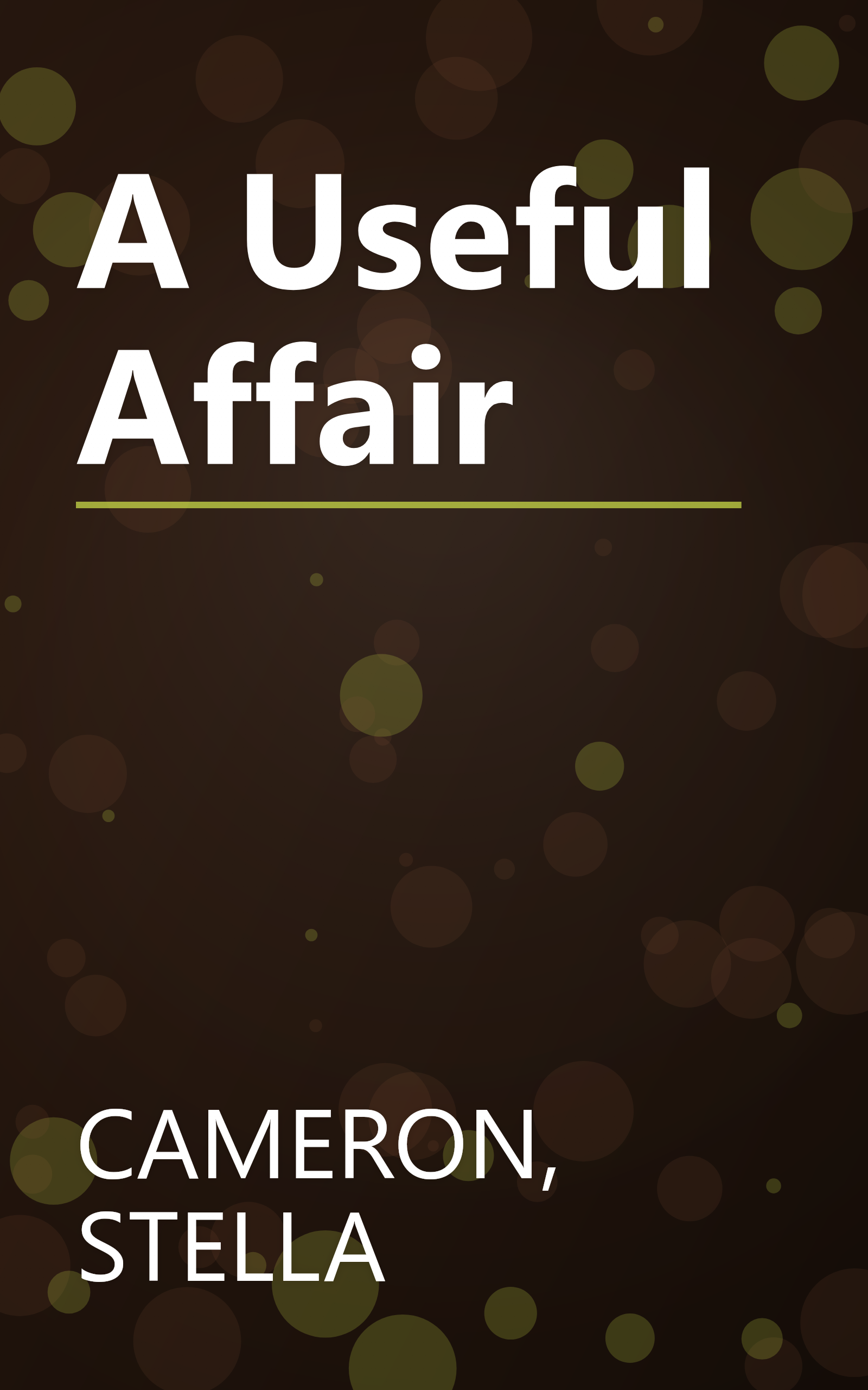 A Useful Affair book cover