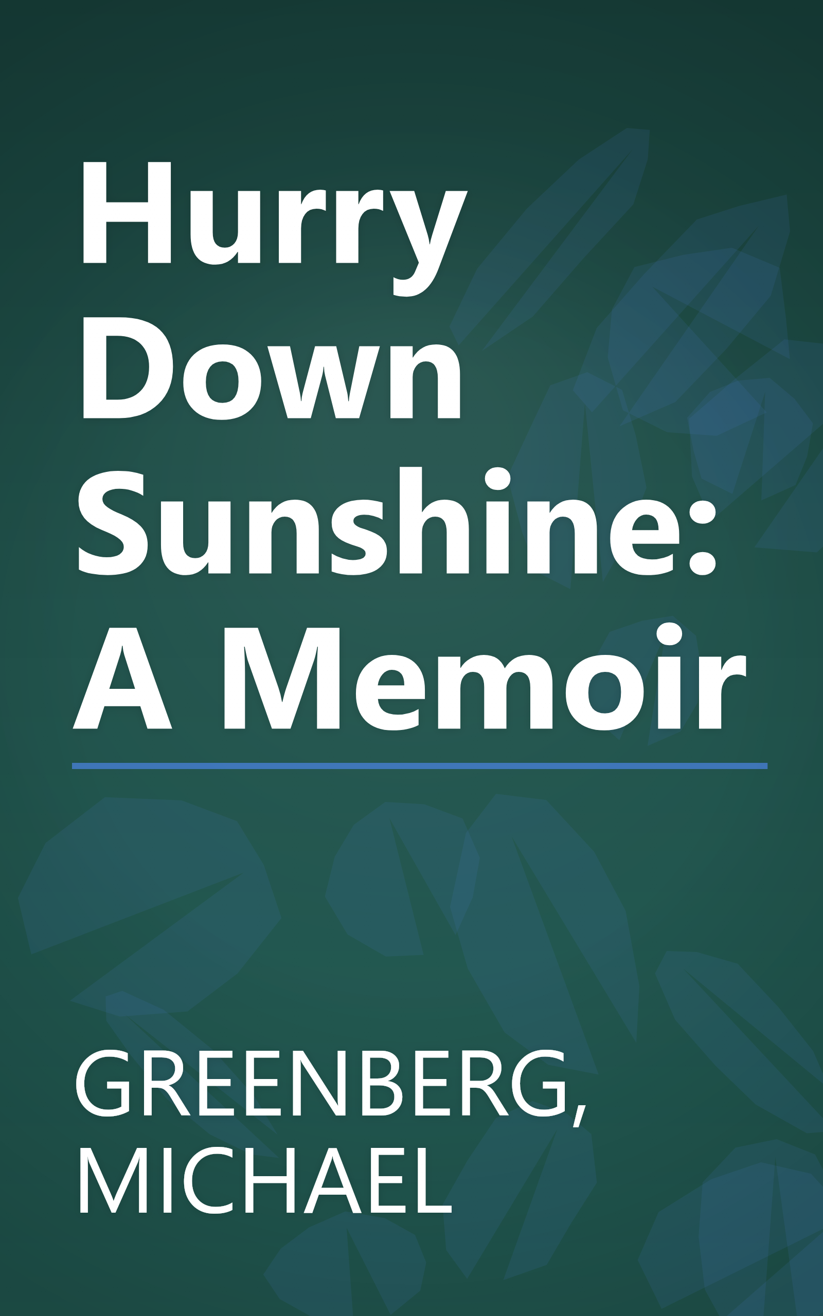 Hurry Down Sunshine: A Memoir book cover