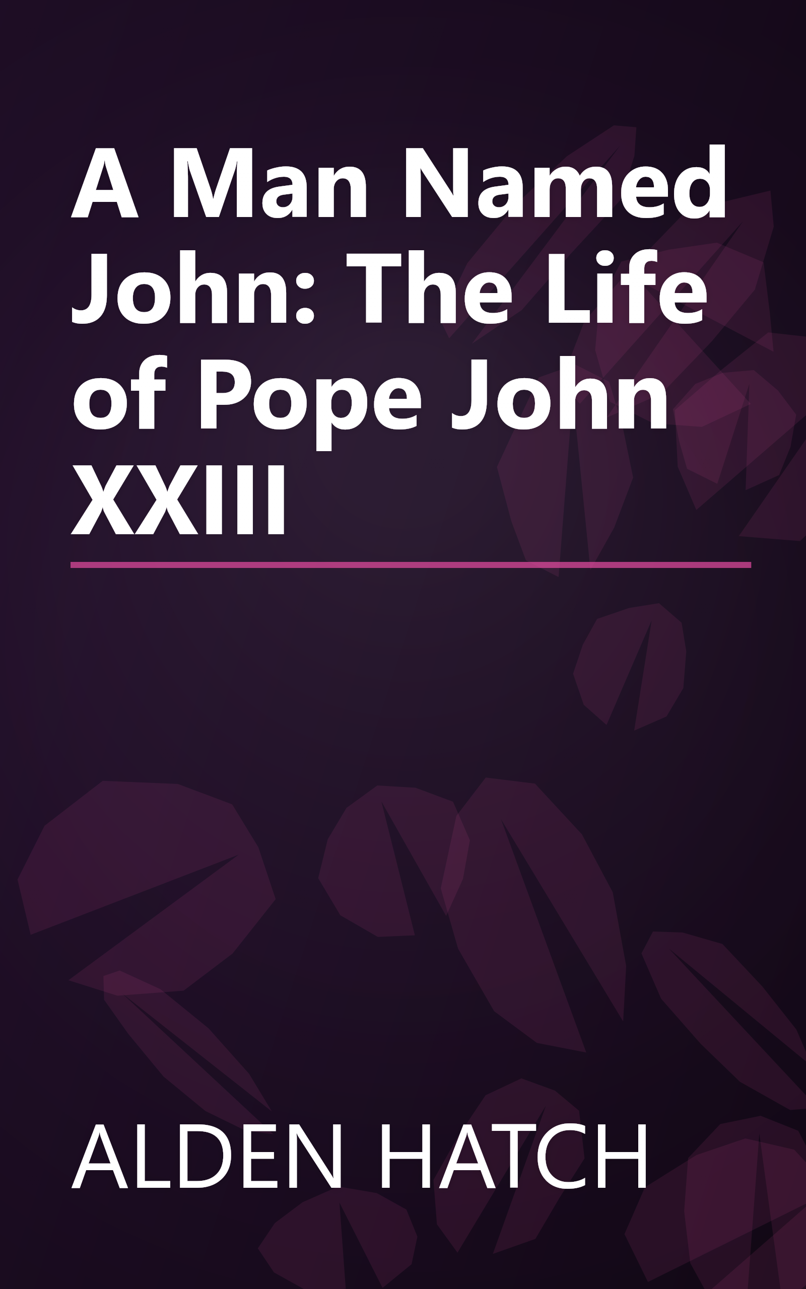 A Man Named John: The Life of Pope John XXIII book cover