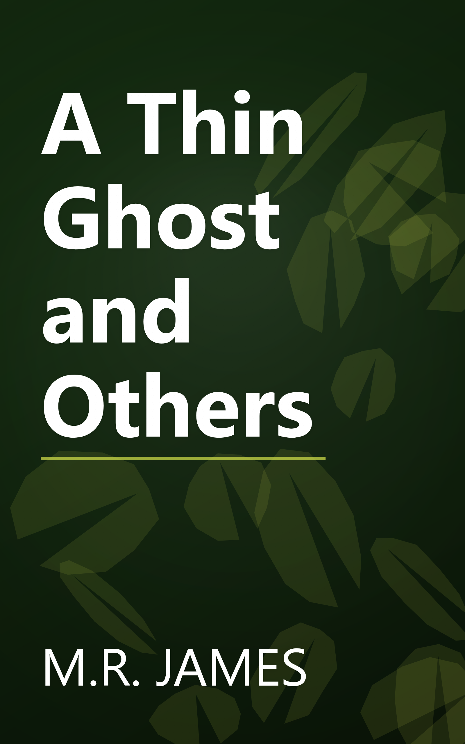 A Thin Ghost and Others book cover