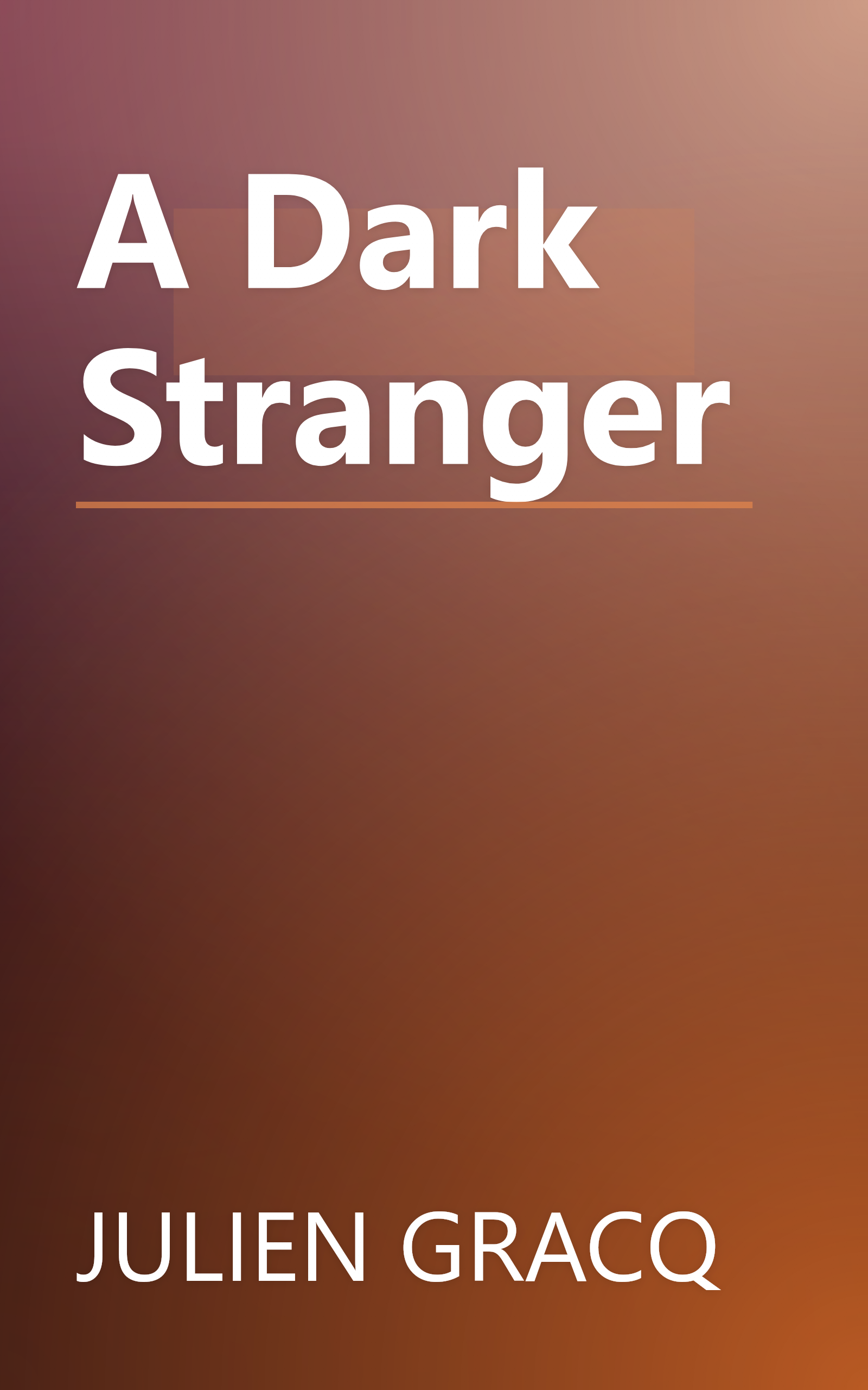 A Dark Stranger book cover