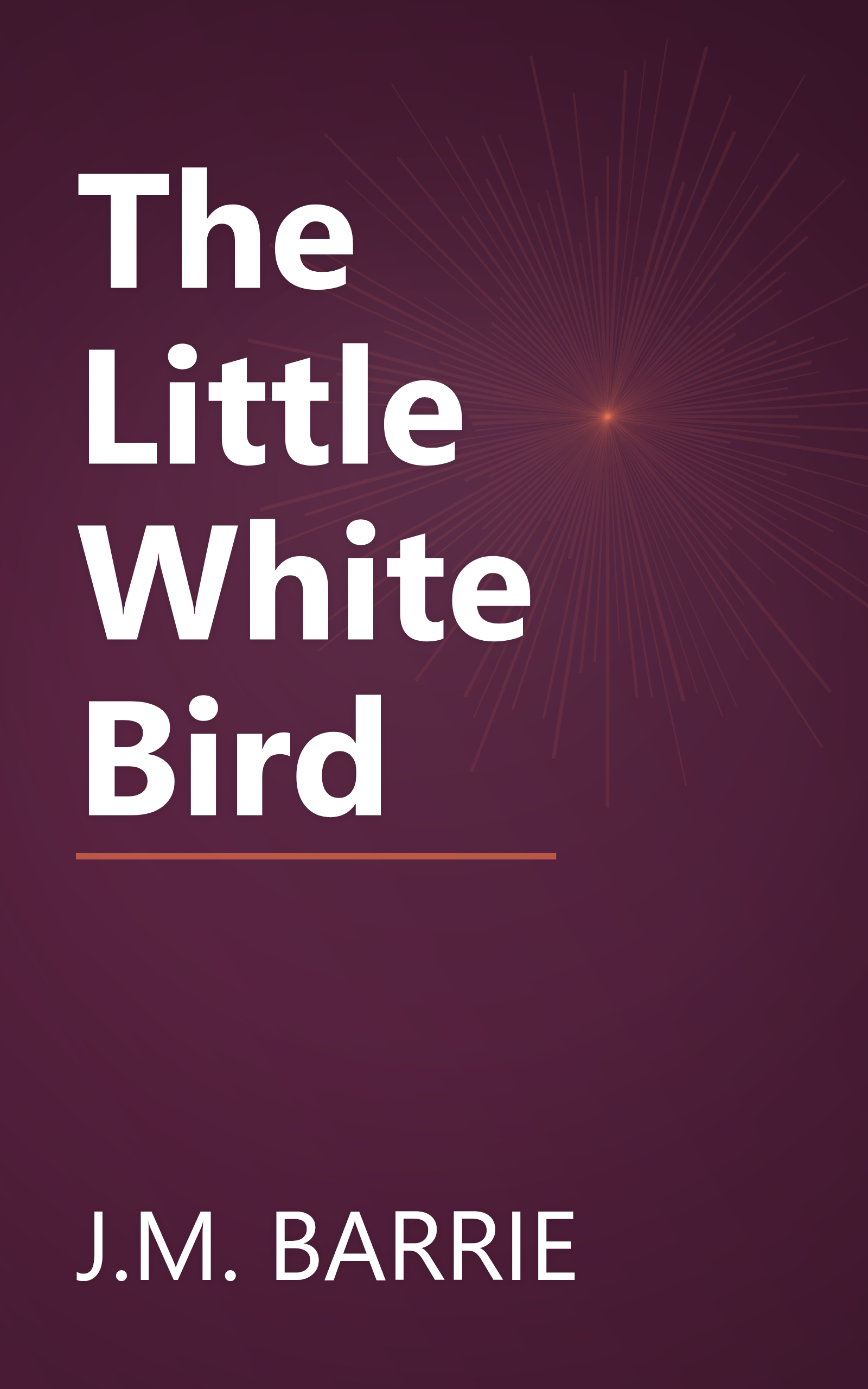 The Little White Bird book cover