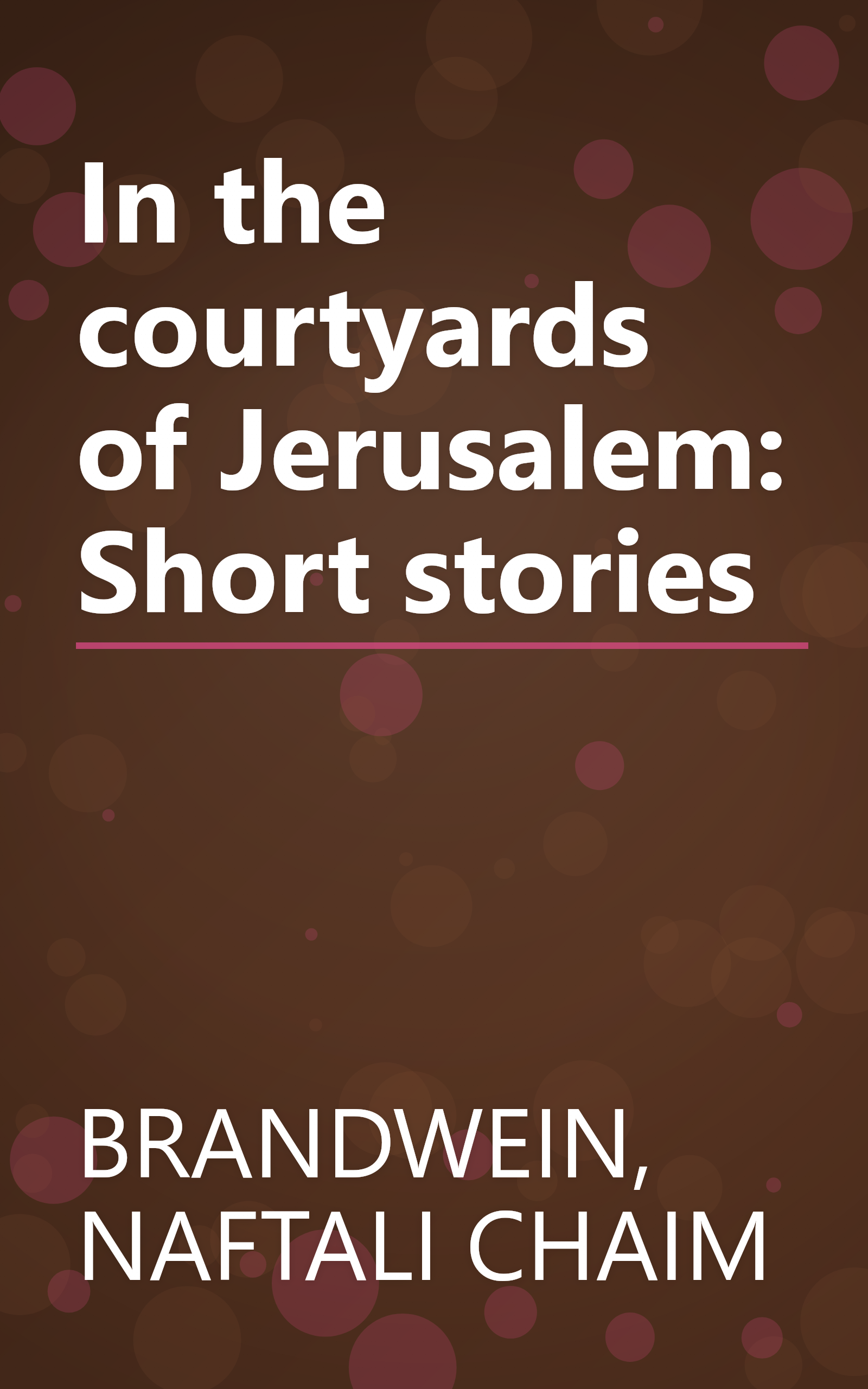 In the courtyards of Jerusalem: Short stories book cover