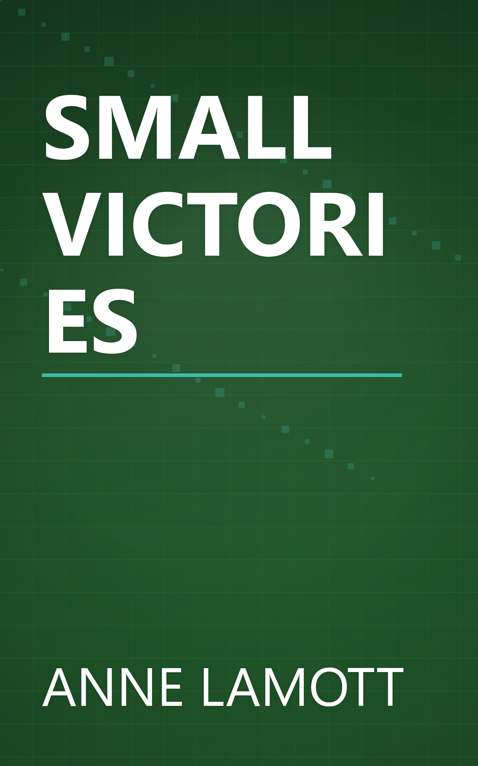SMALL VICTORIES book cover