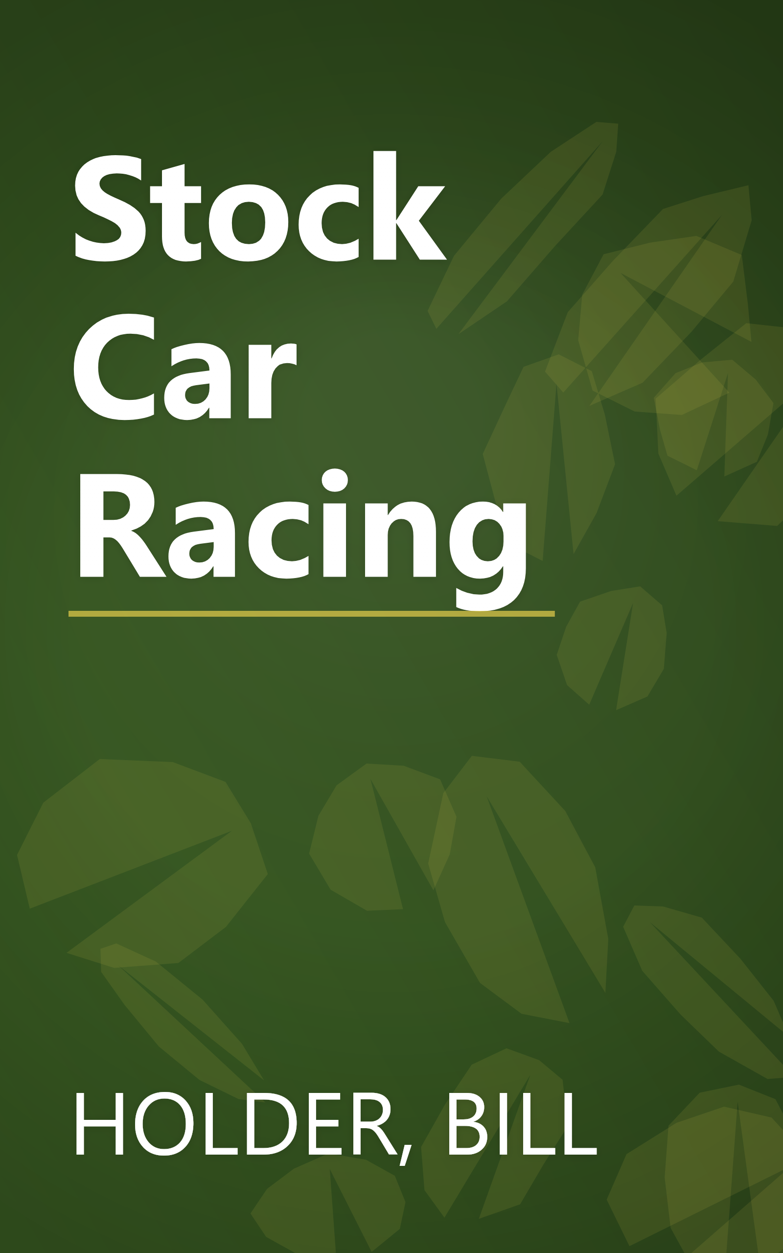 Stock Car Racing book cover