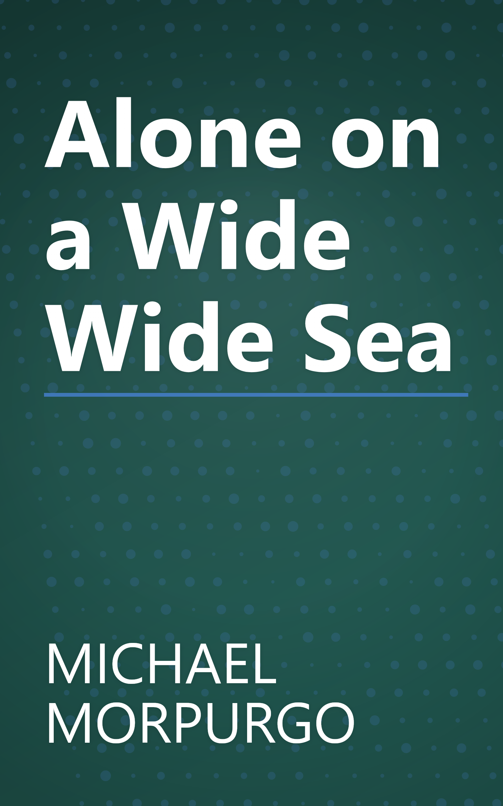 Alone on a Wide Wide Sea book cover