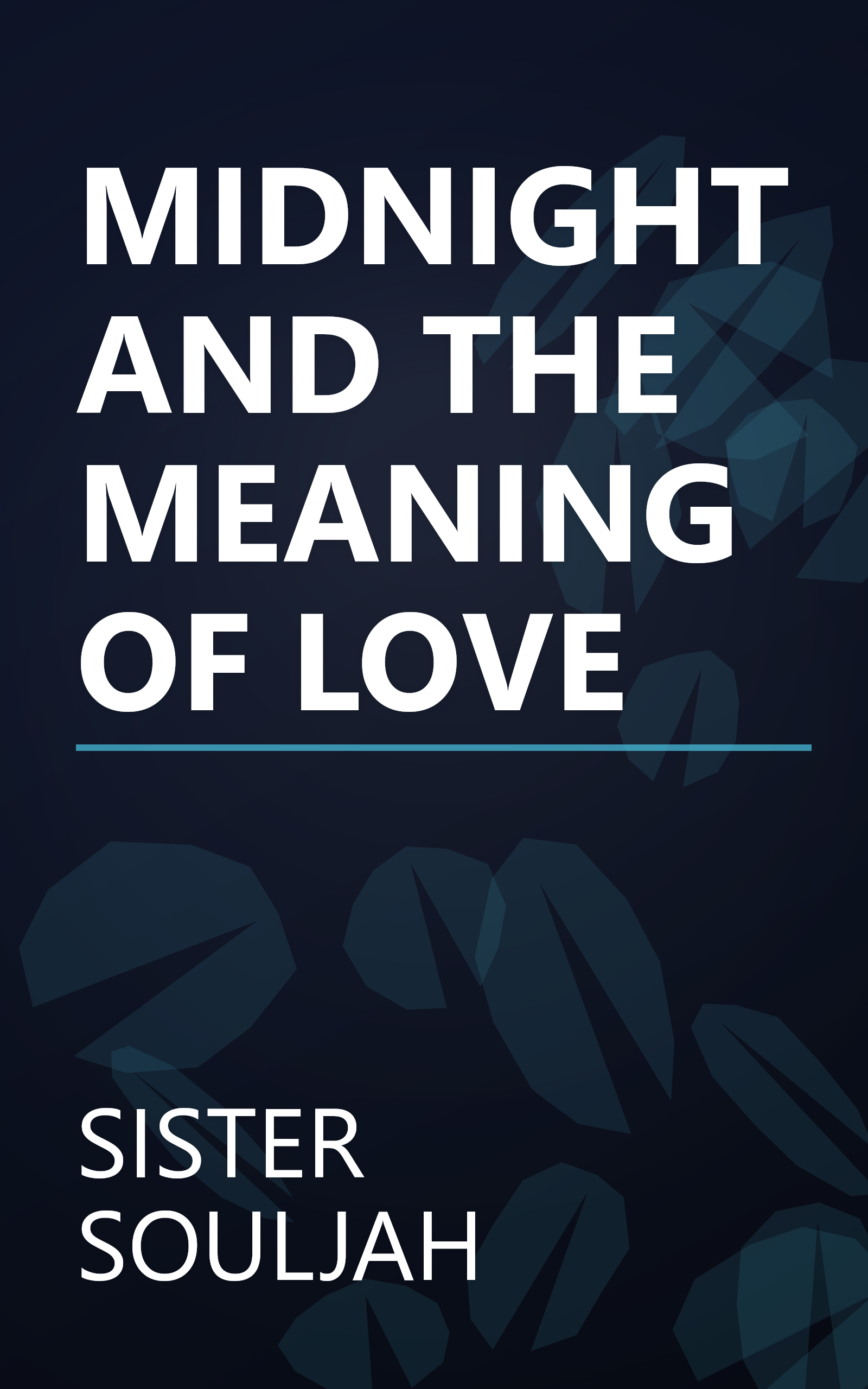 MIDNIGHT AND THE MEANING OF LOVE book cover