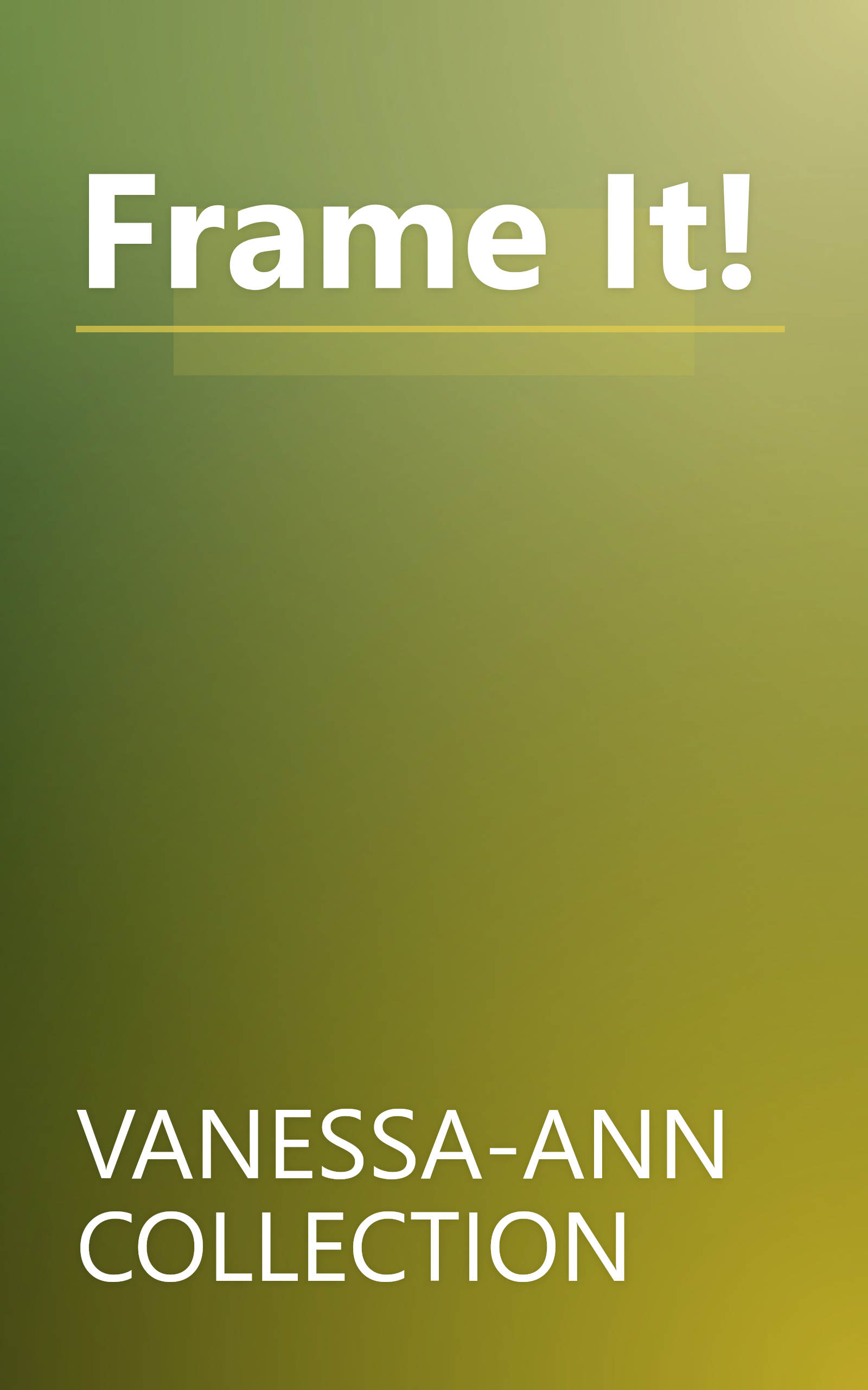Frame It! book cover