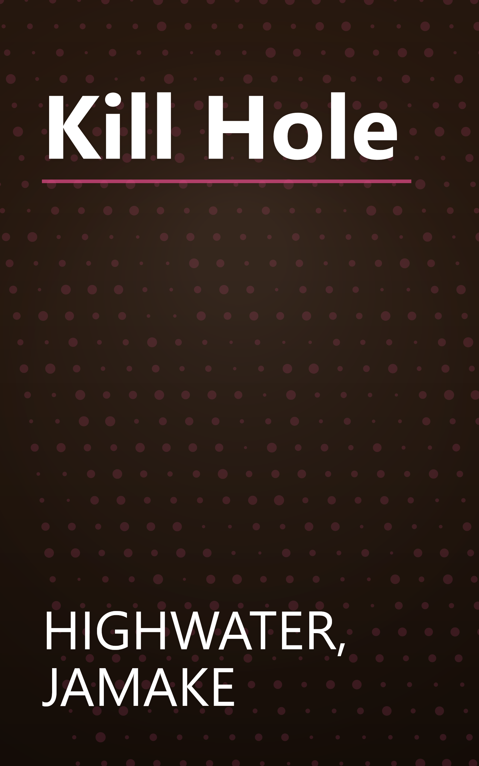 Kill Hole book cover