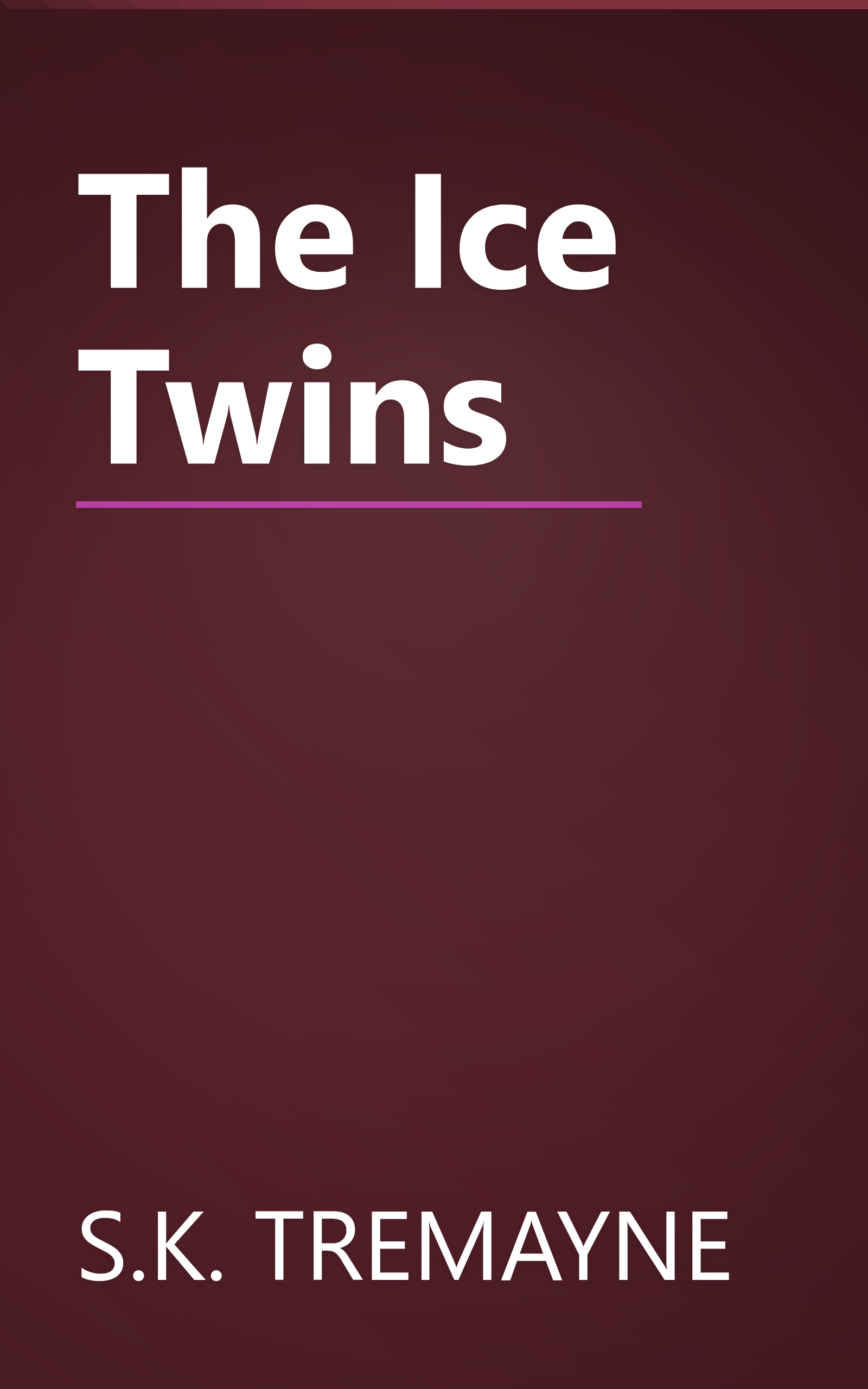 The Ice Twins book cover
