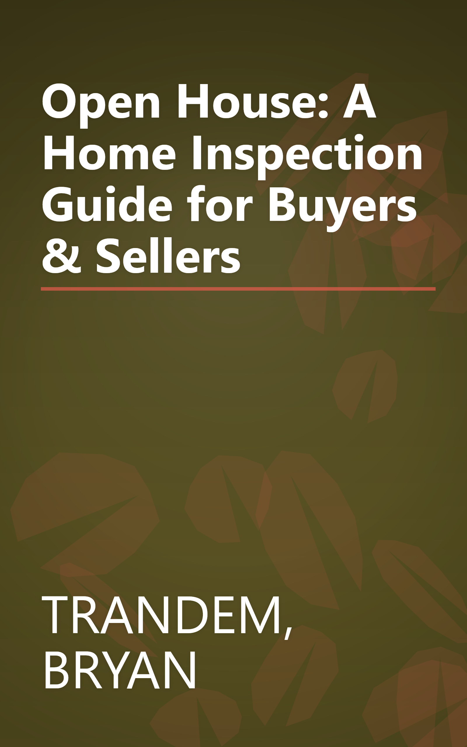 Open House: A Home Inspection Guide for Buyers & Sellers book cover