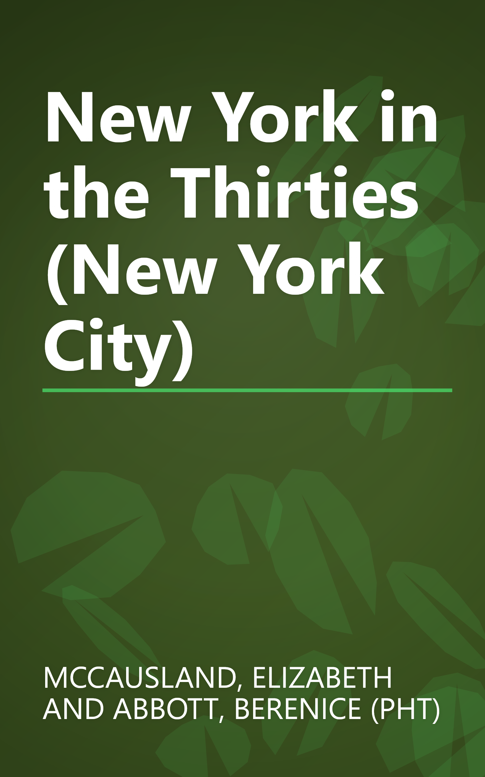 New York in the Thirties (New York City) book cover