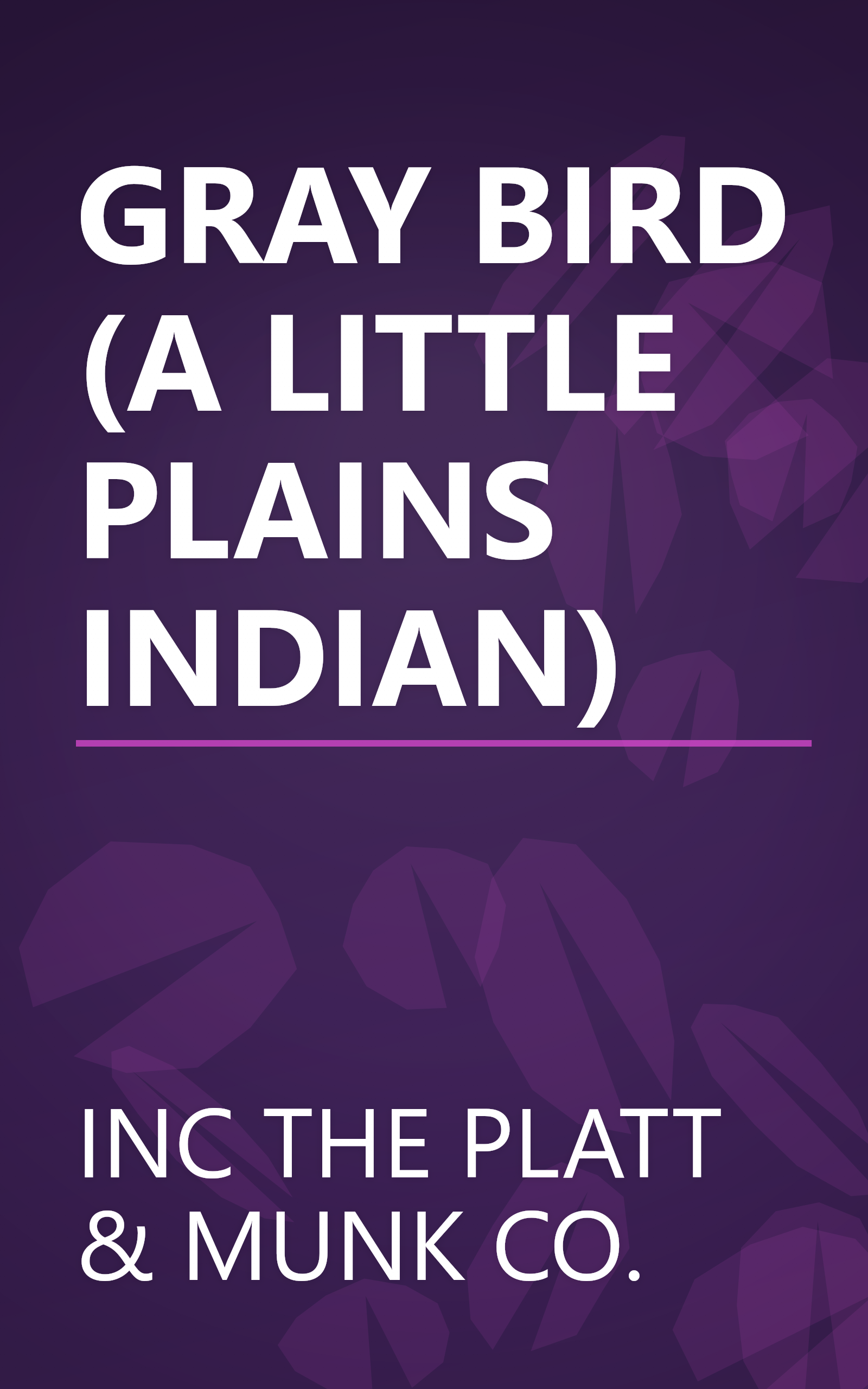 GRAY BIRD (A LITTLE PLAINS INDIAN) book cover