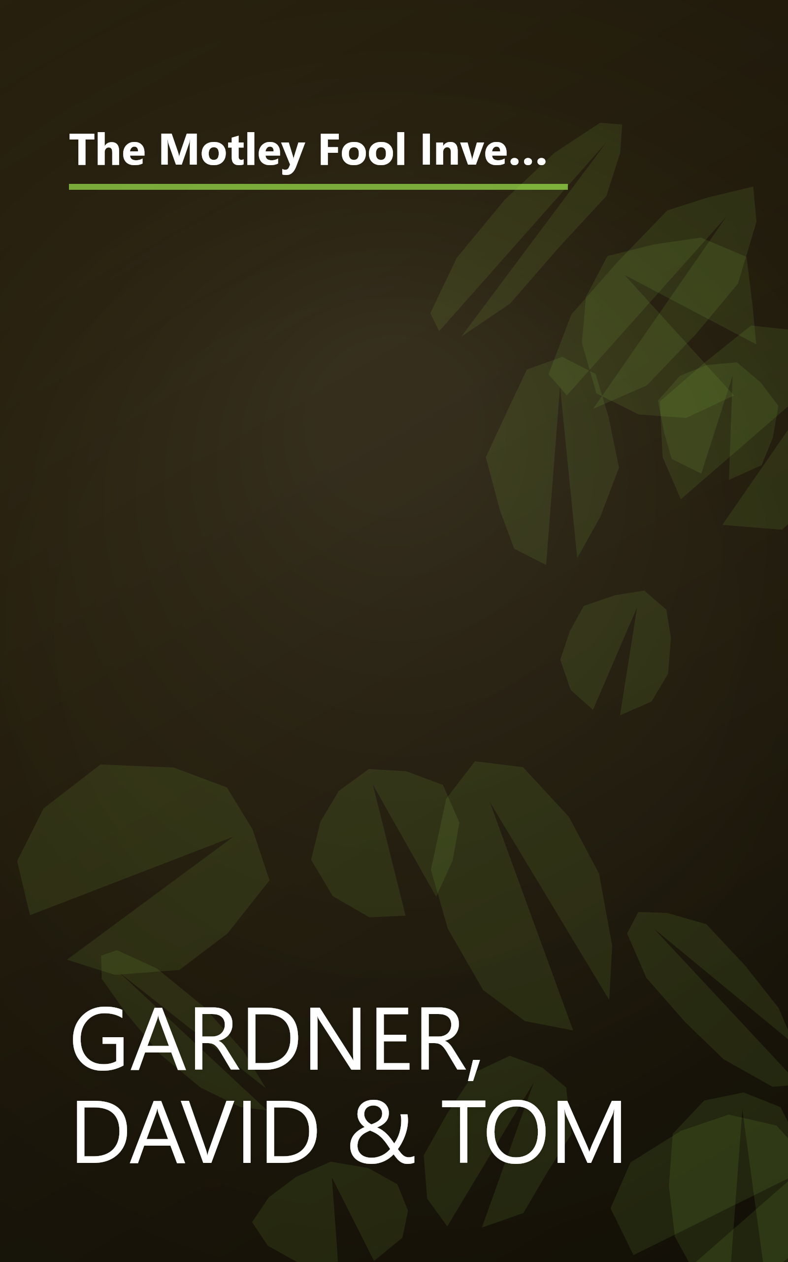 The Motley Fool Investment Guide (Completely Revised and Expanded) (How the Fool Beats Wall Street's Wise Men and How You Can Too) book cover