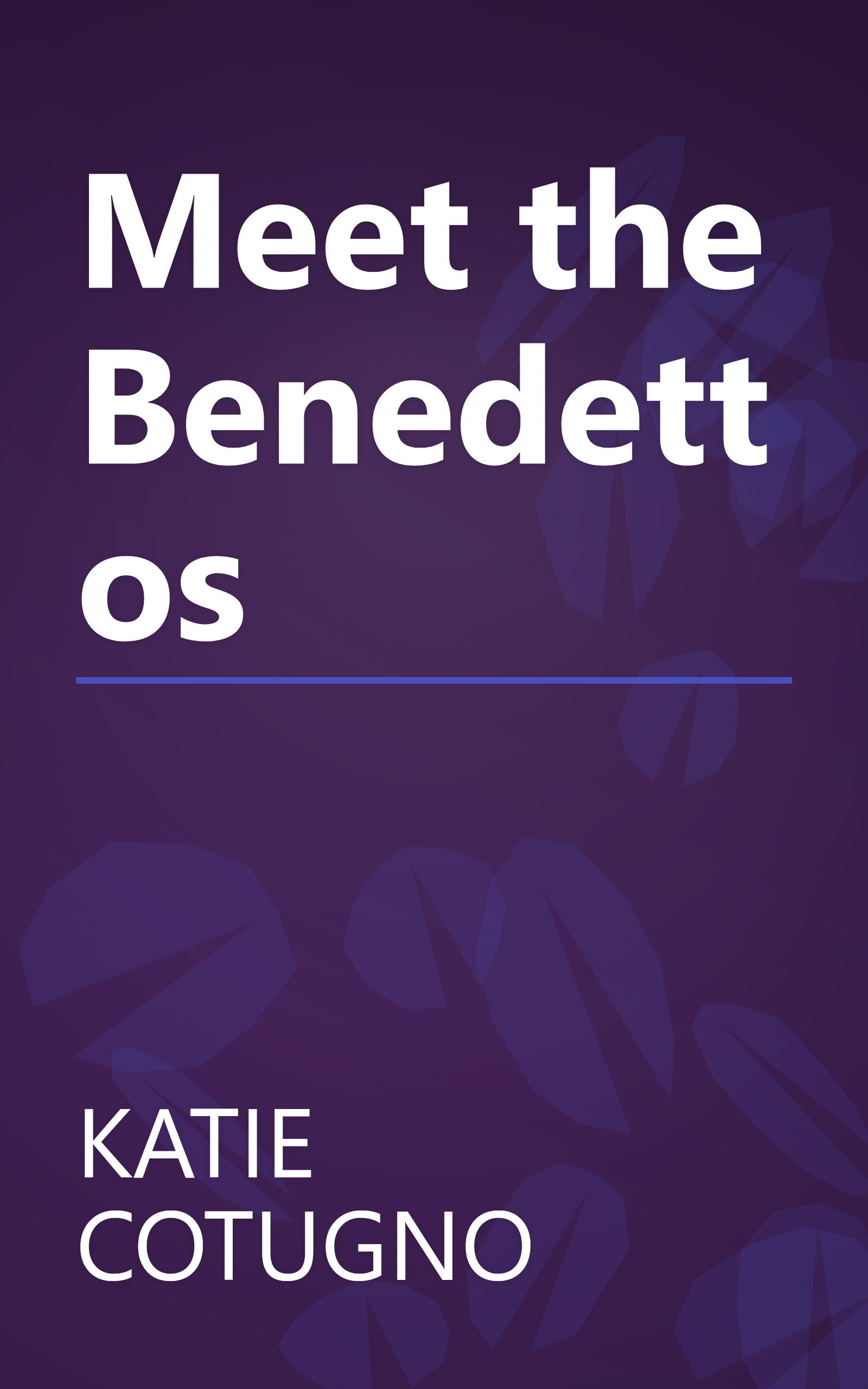 Meet the Benedettos book cover