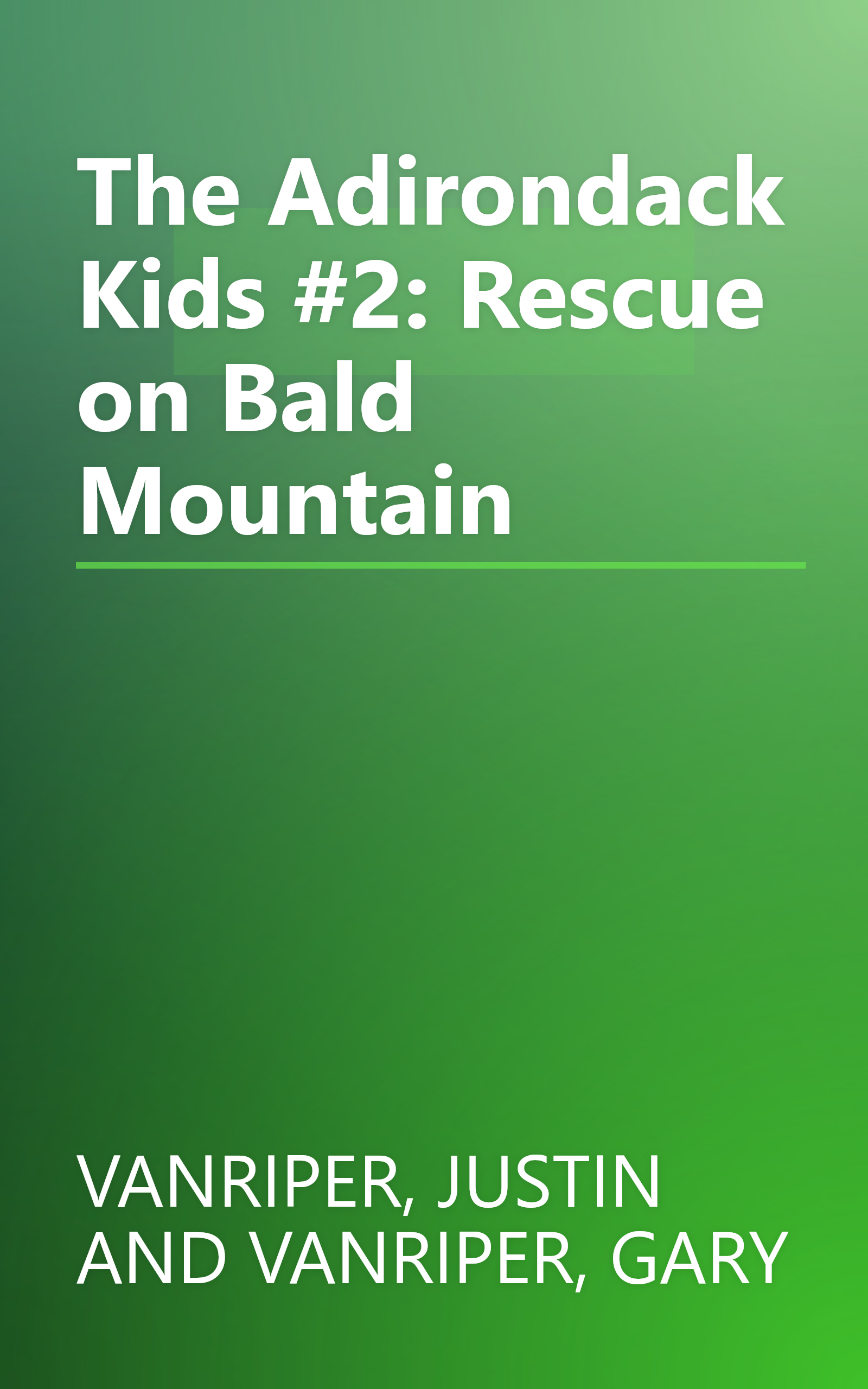 The Adirondack Kids #2: Rescue on Bald Mountain book cover