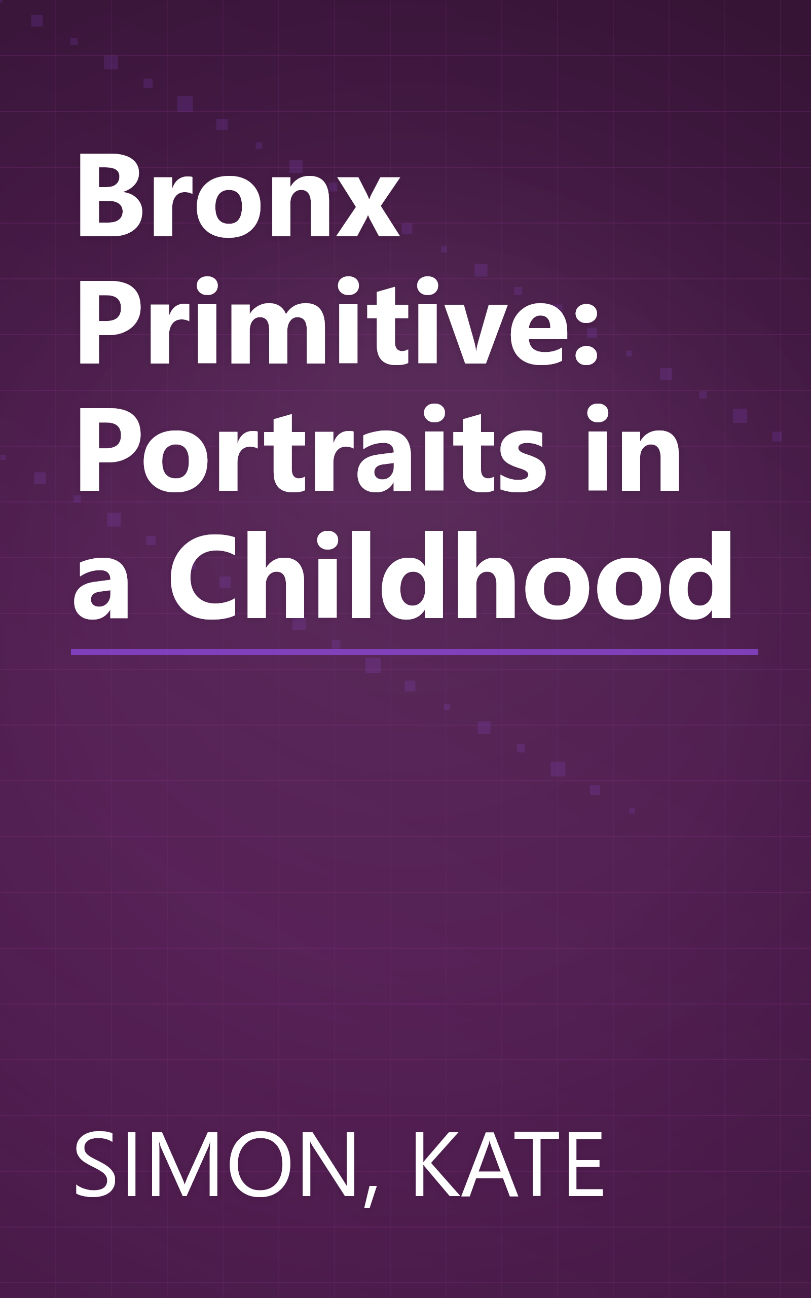 Bronx Primitive: Portraits in a Childhood book cover
