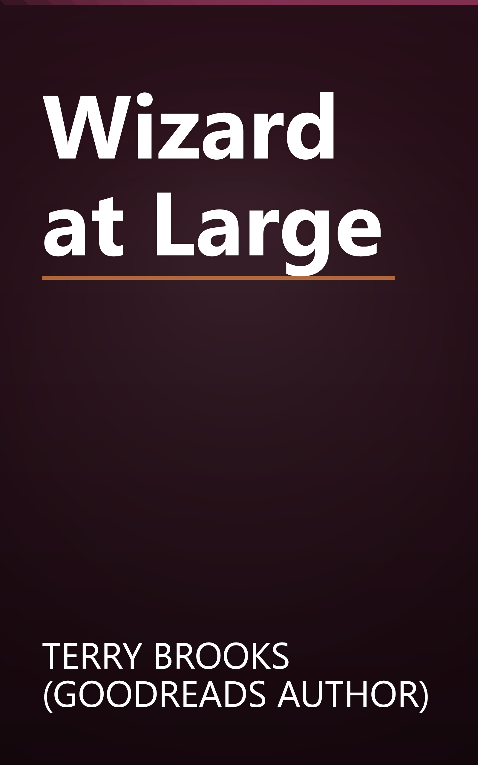 Wizard at Large book cover