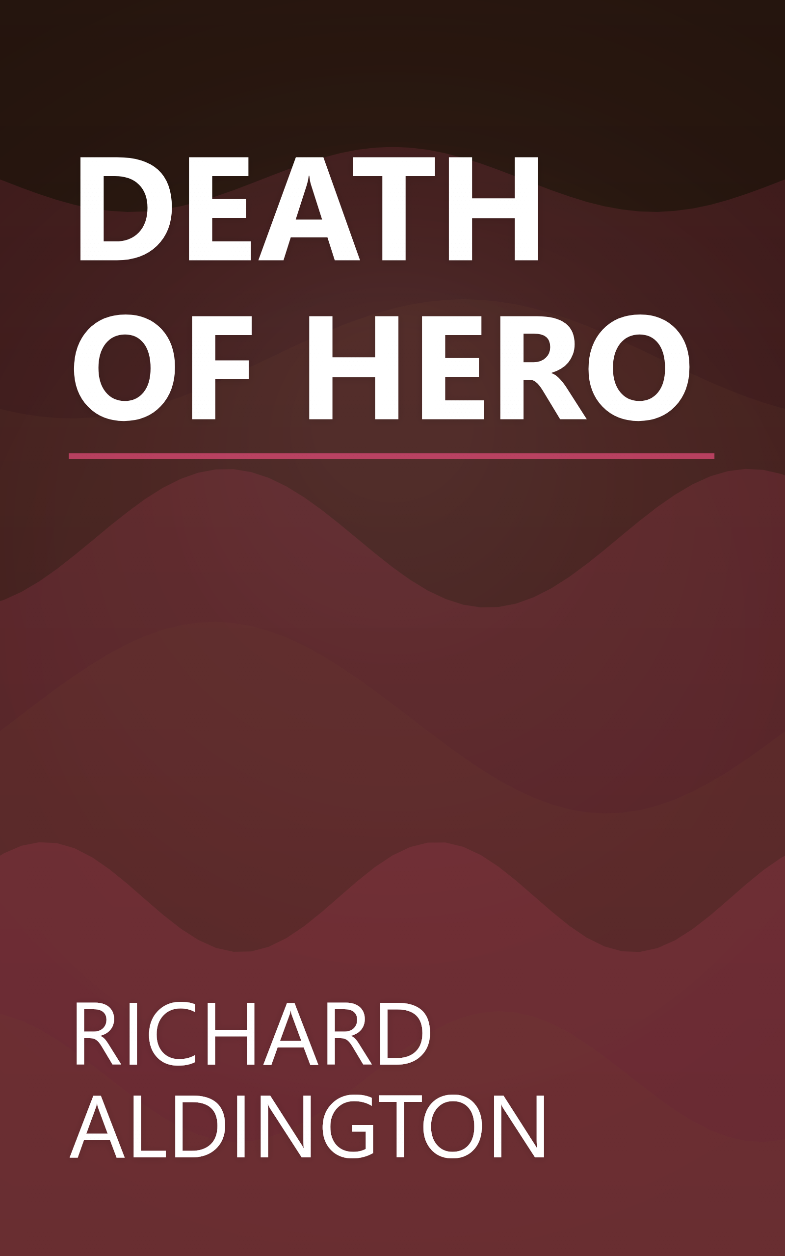 DEATH OF HERO book cover